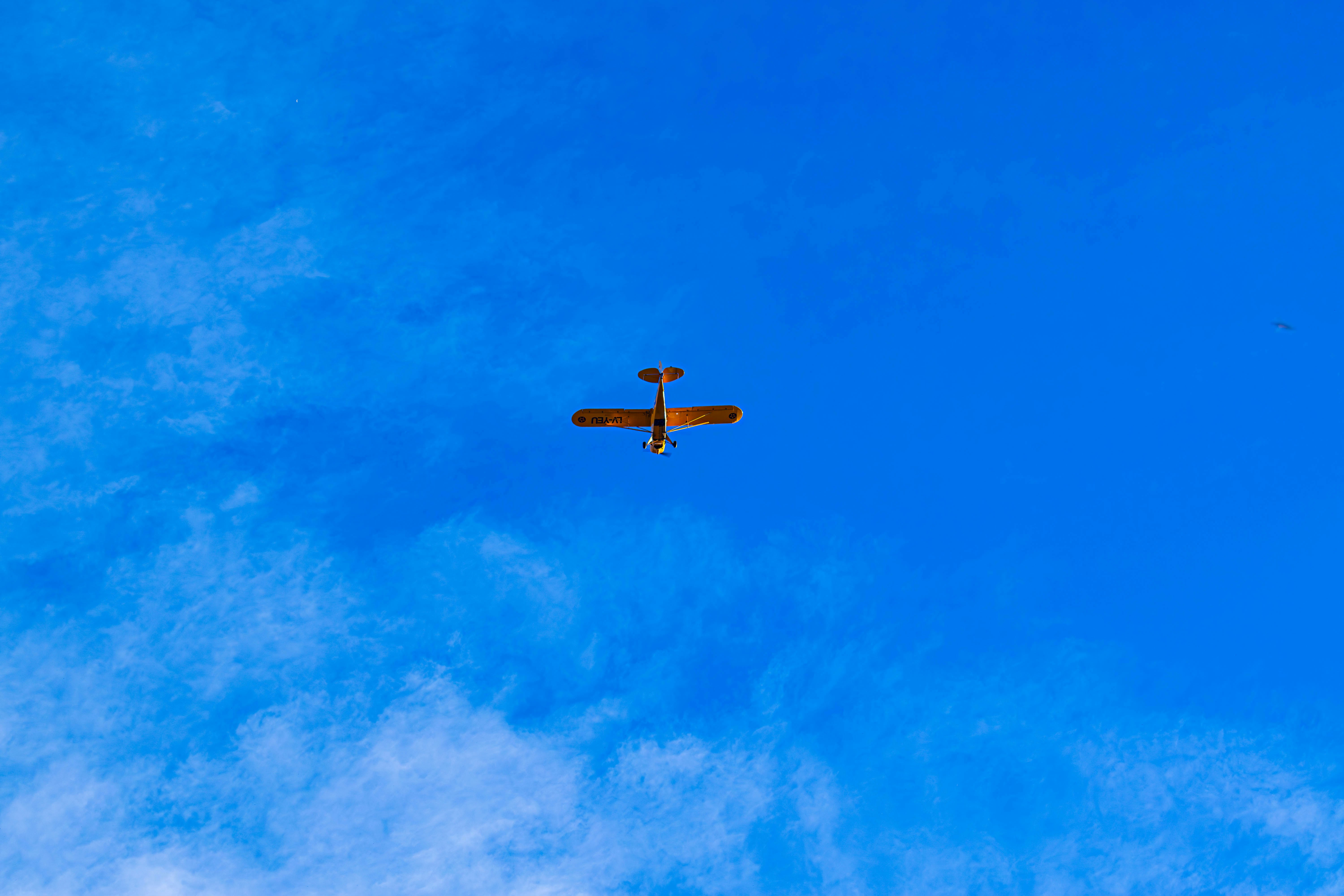 Un avión vuela alto en el cielo azul brillante. foto – Imagen de Animal ...