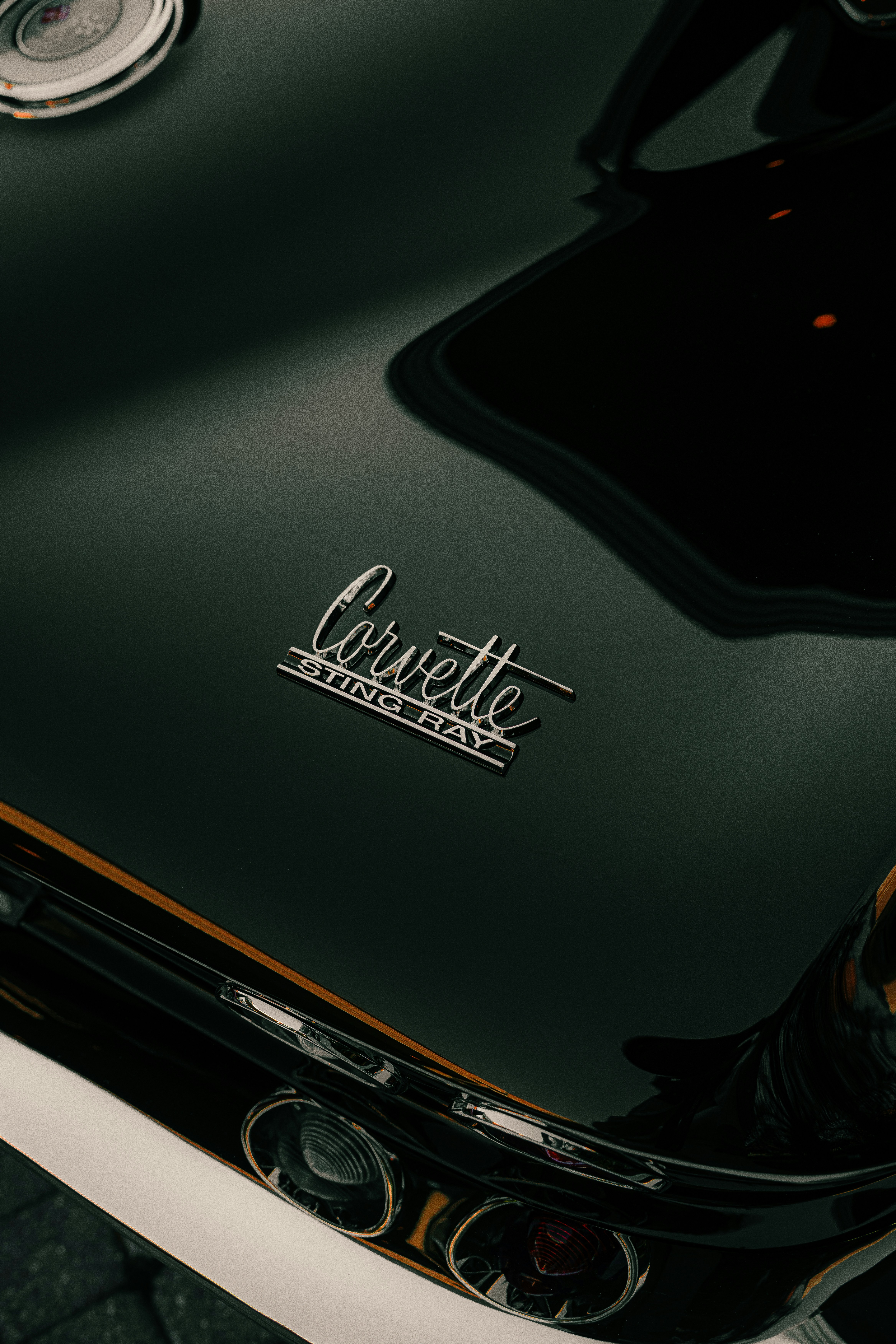 A black corvette sting ray's emblem is displayed. photo – Free Car ...