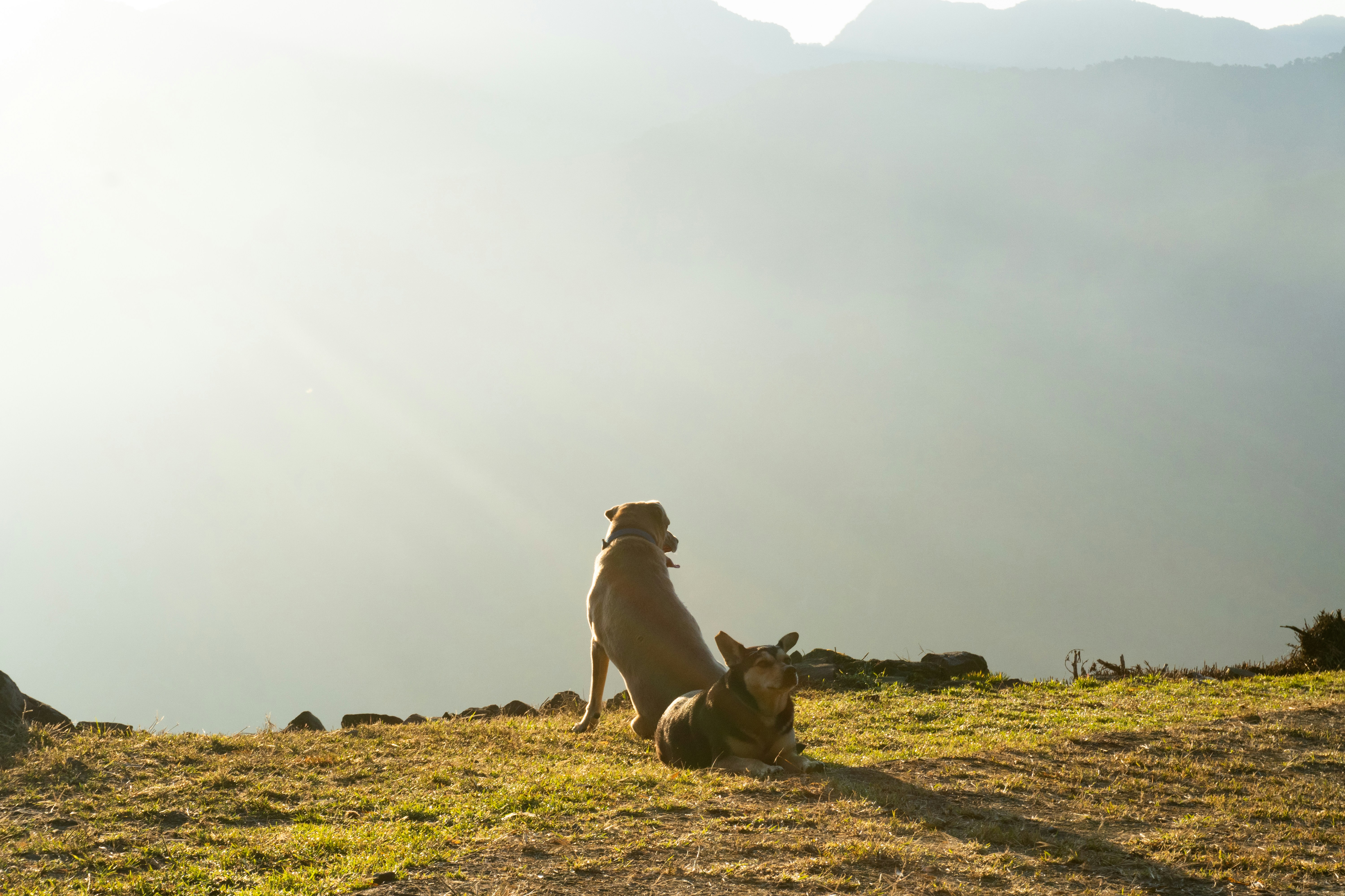 Roger Goh (@rogergzw) | Unsplash 사진 커뮤니티