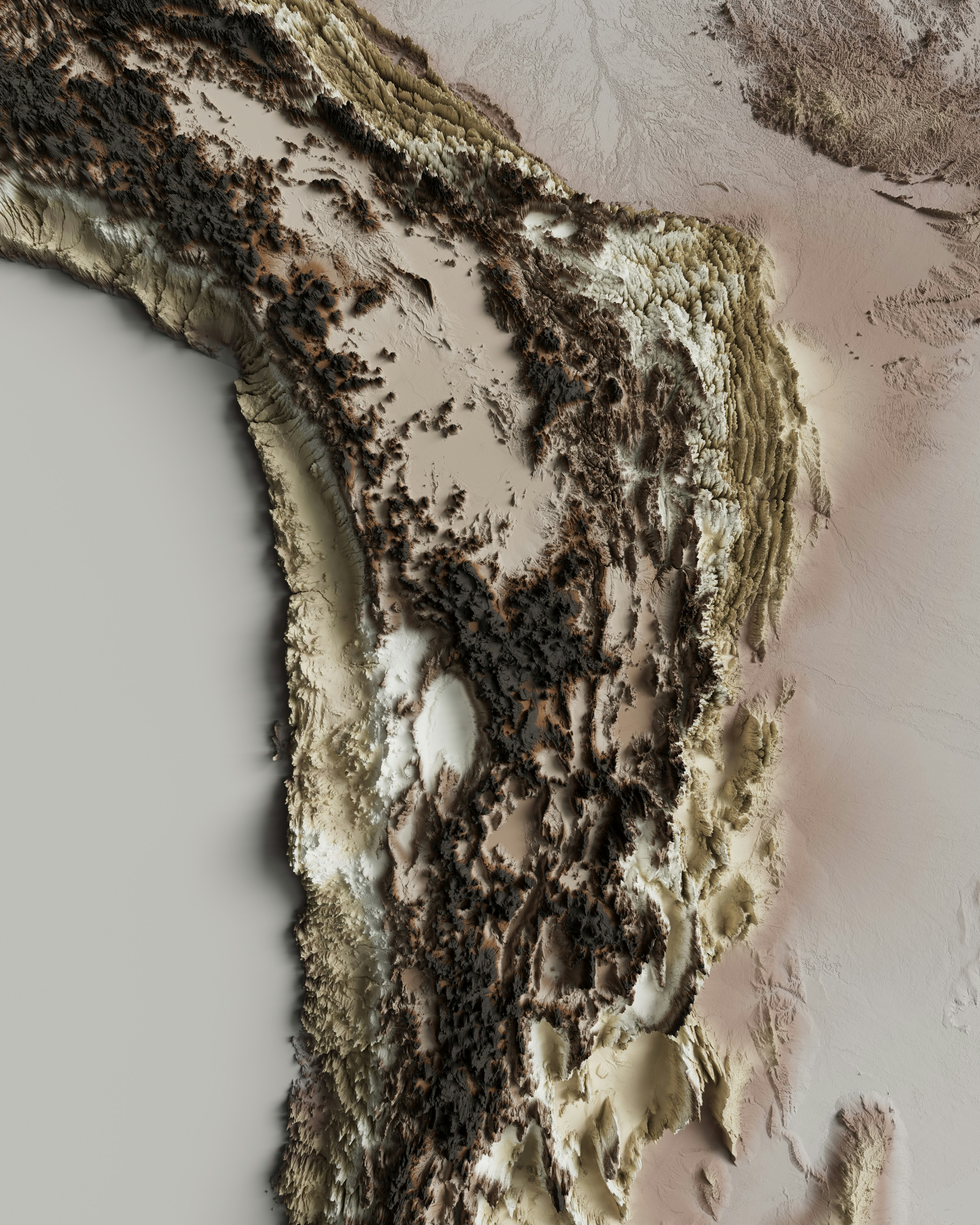 Topographical map showing the shape of a landmass. photo – Free Forest ...