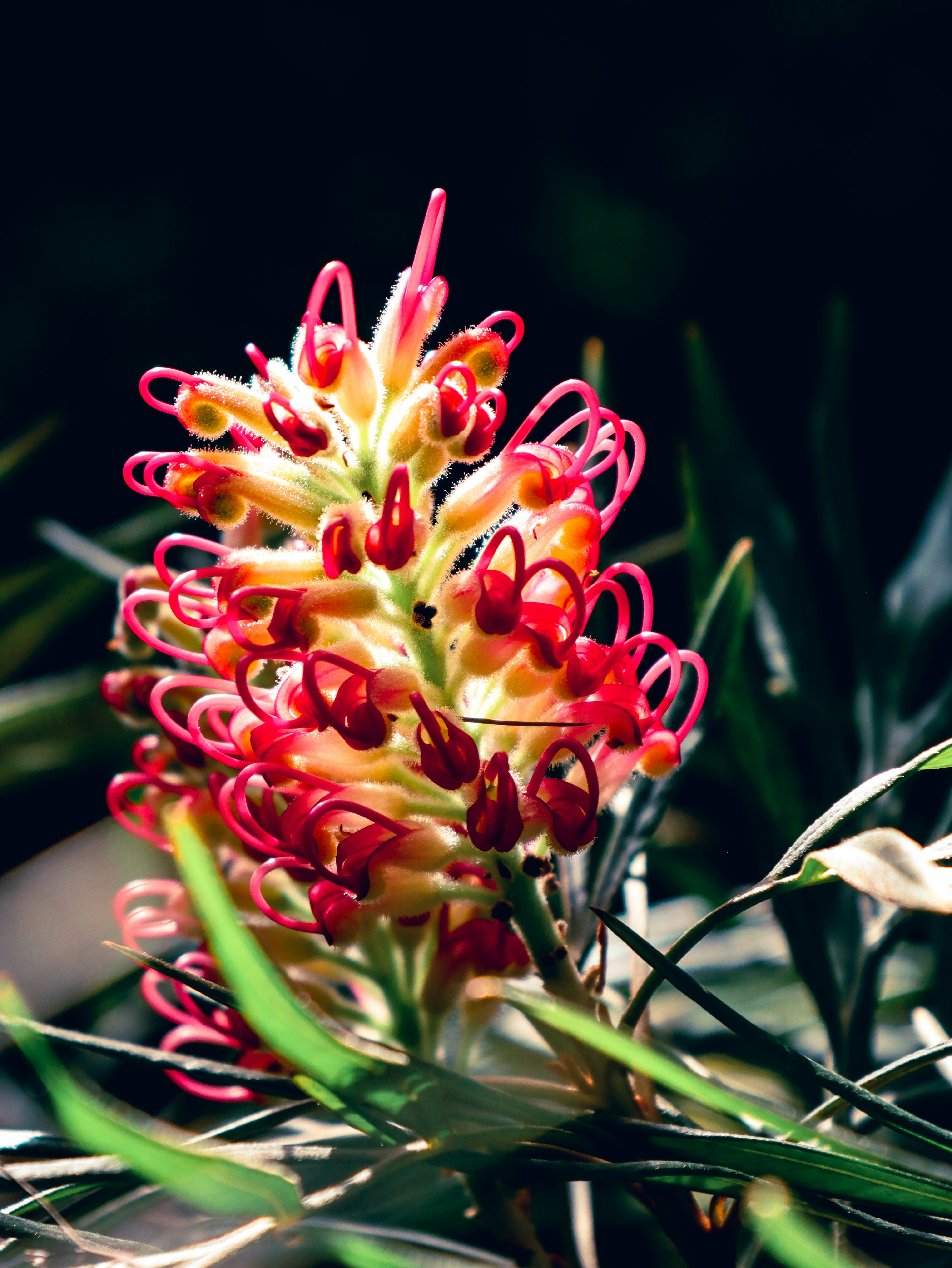 Photo by Ann Ann with Canon EOS M50