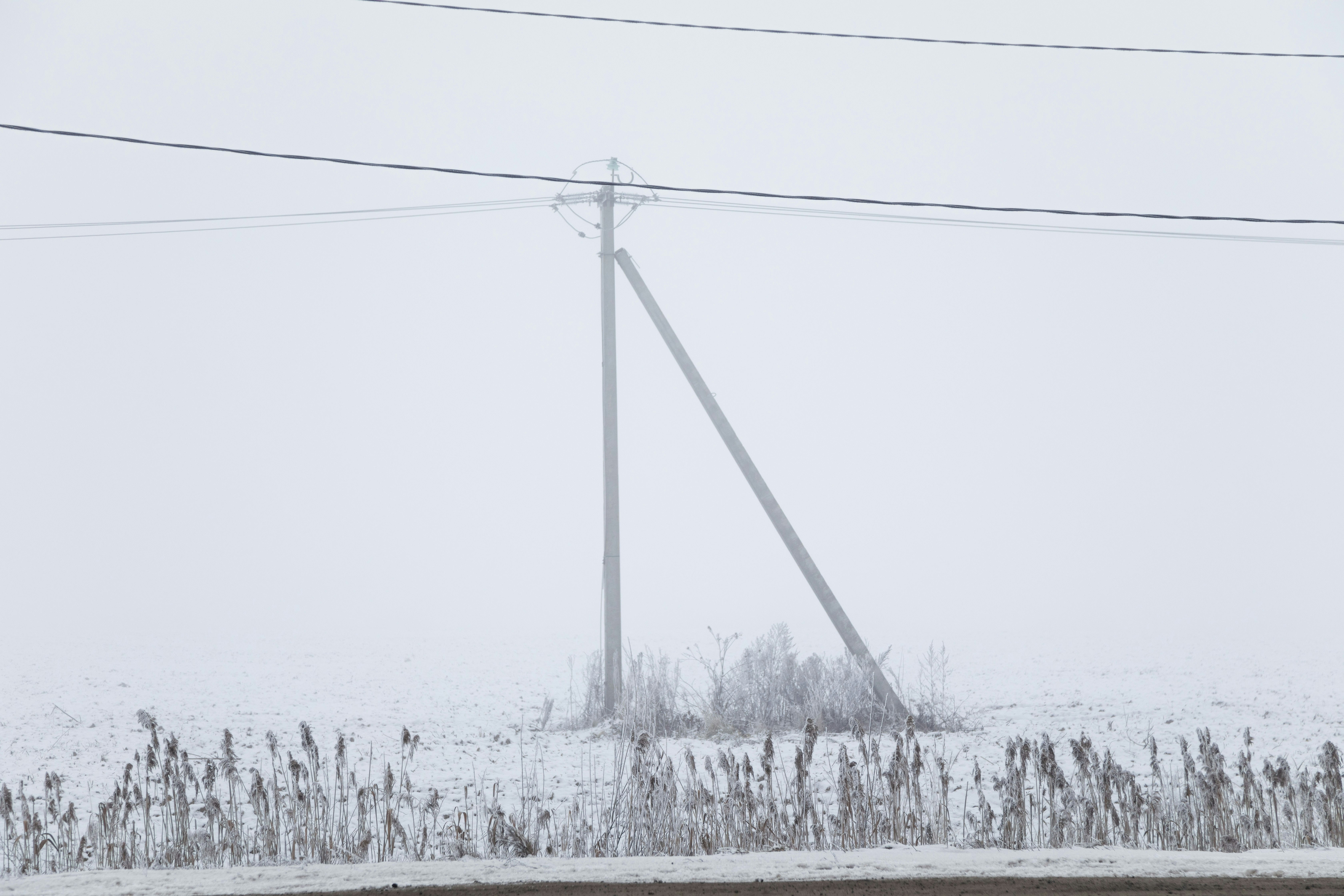 Snowy field with a utility pole. photo – Free Snow Image on Unsplash