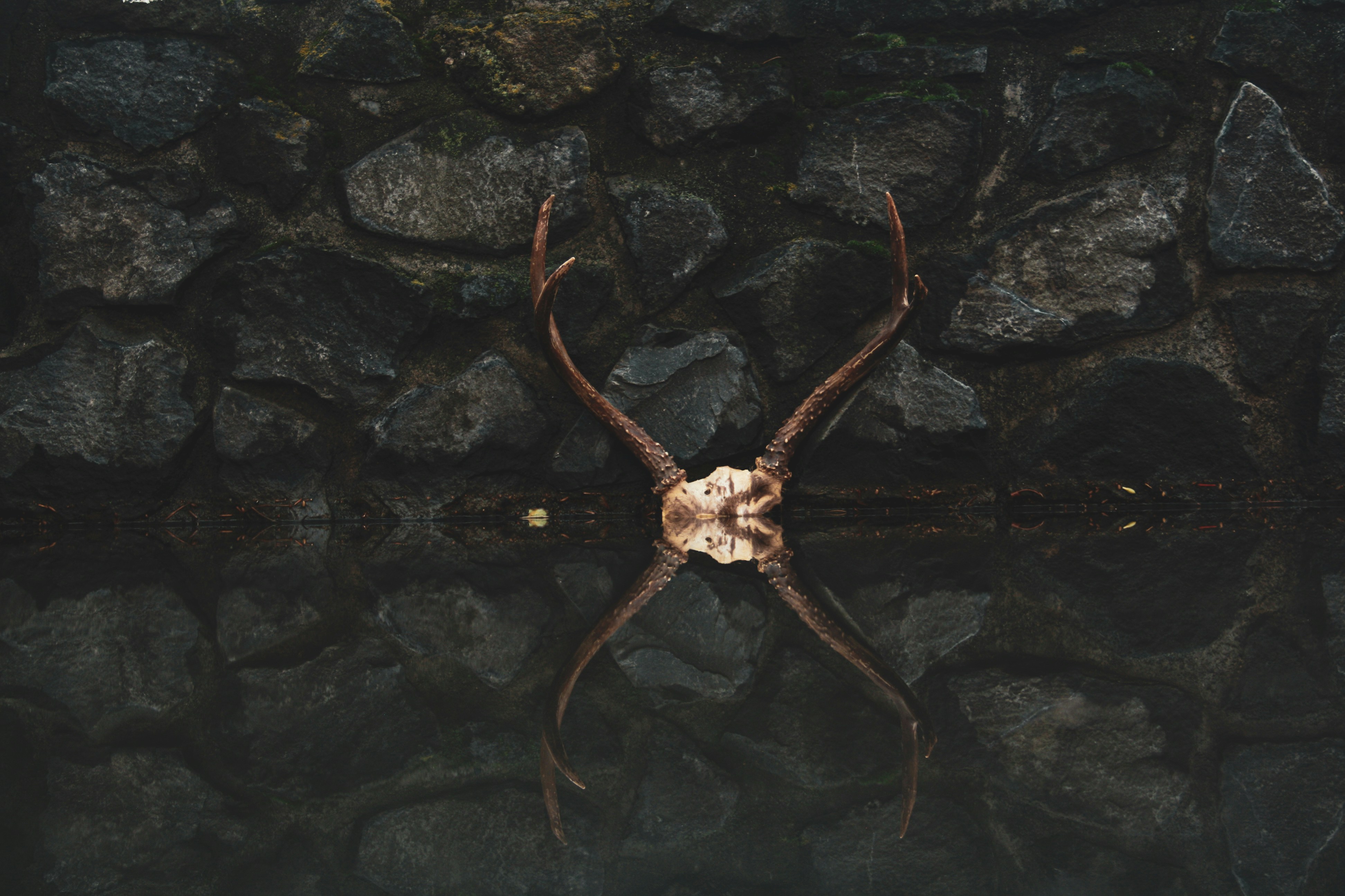 Photo by Ezra Baber with Canon EOS 1000D