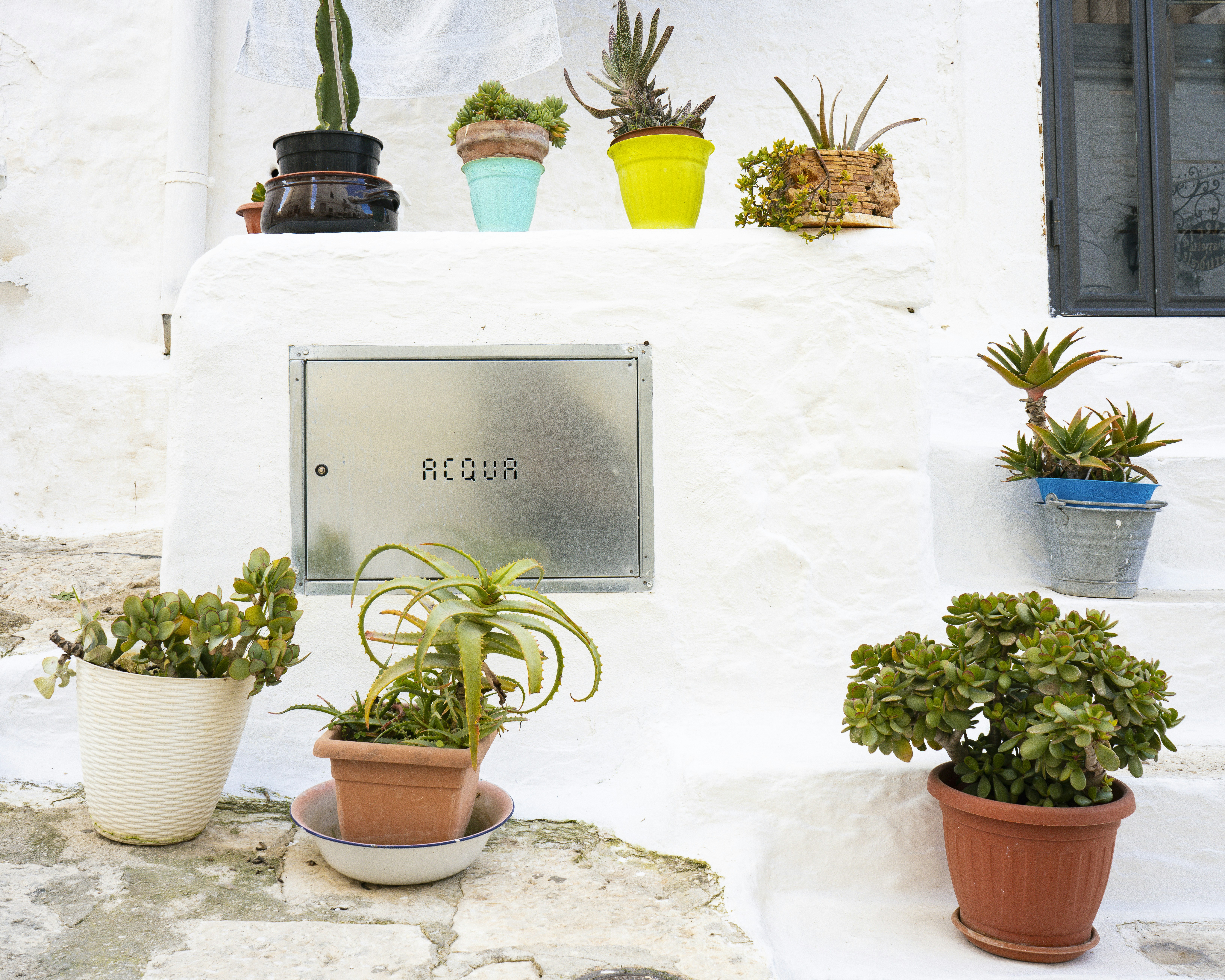 Pastel Pots on a Whitewashed Wall: a sunlit courtyard of succulent life