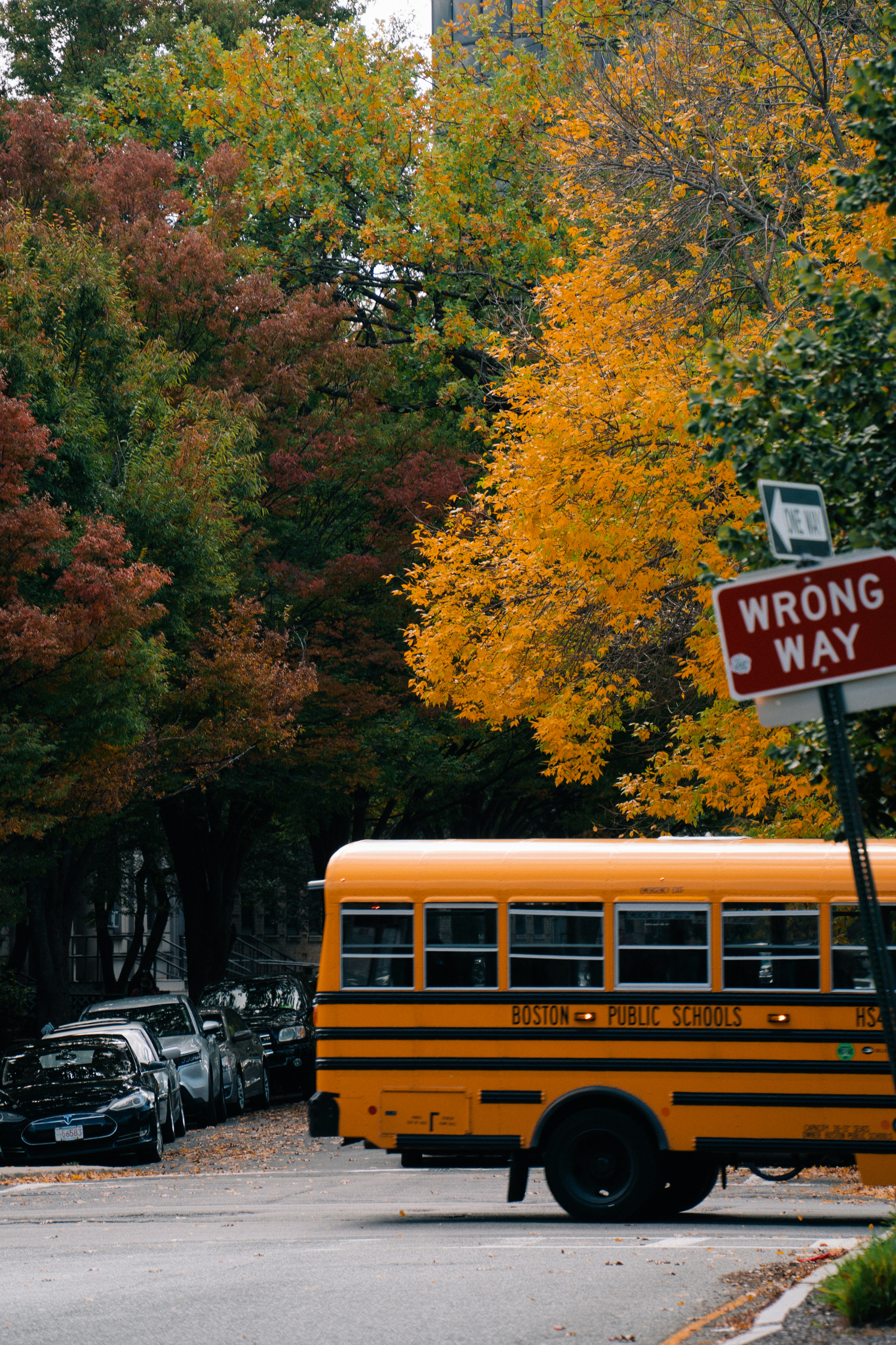 Ethan Suplee’s American Glutton Substack | Substack