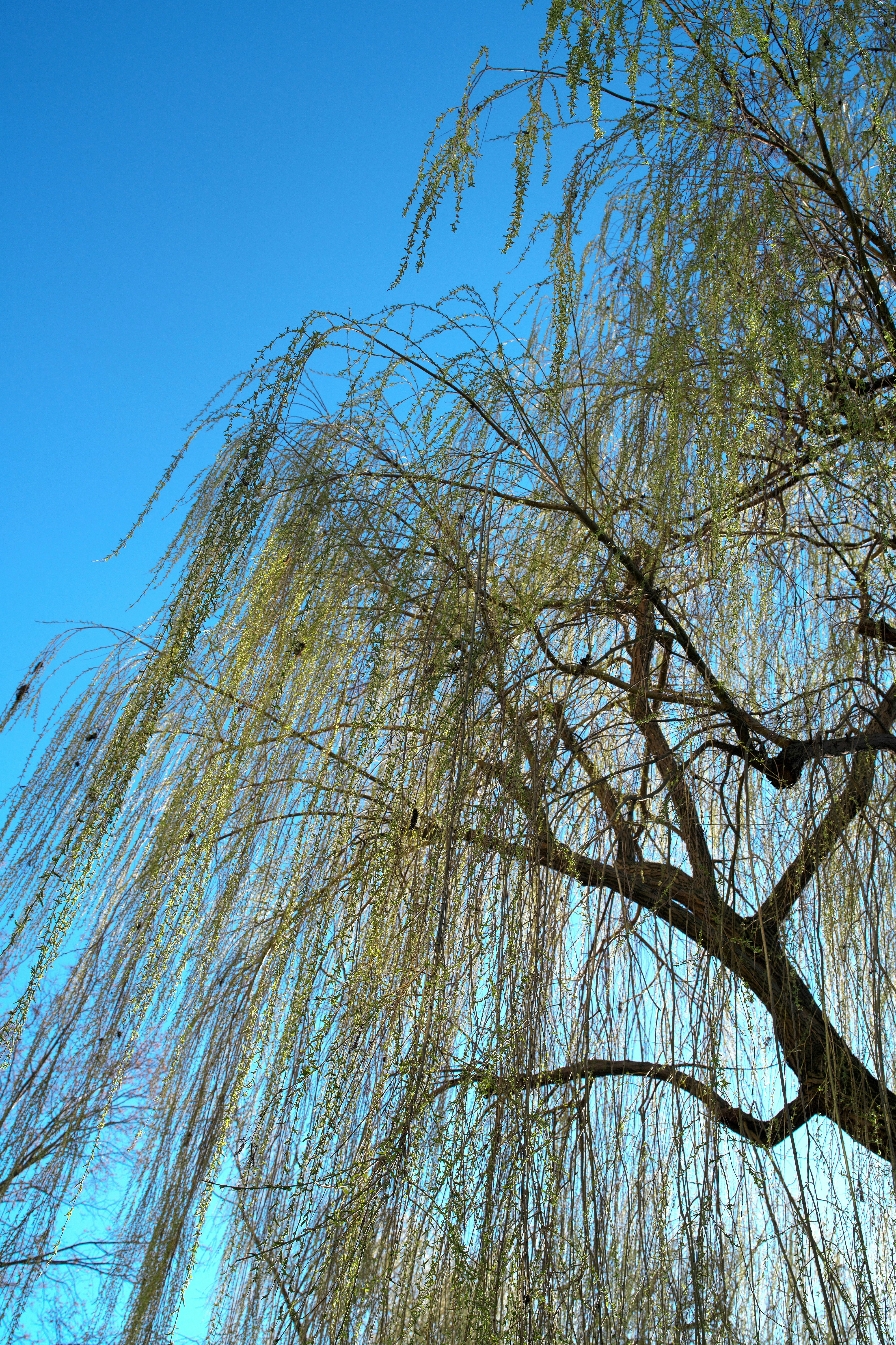 Photo by Tadeusz Zachwieja with Sony Alpha 7R V