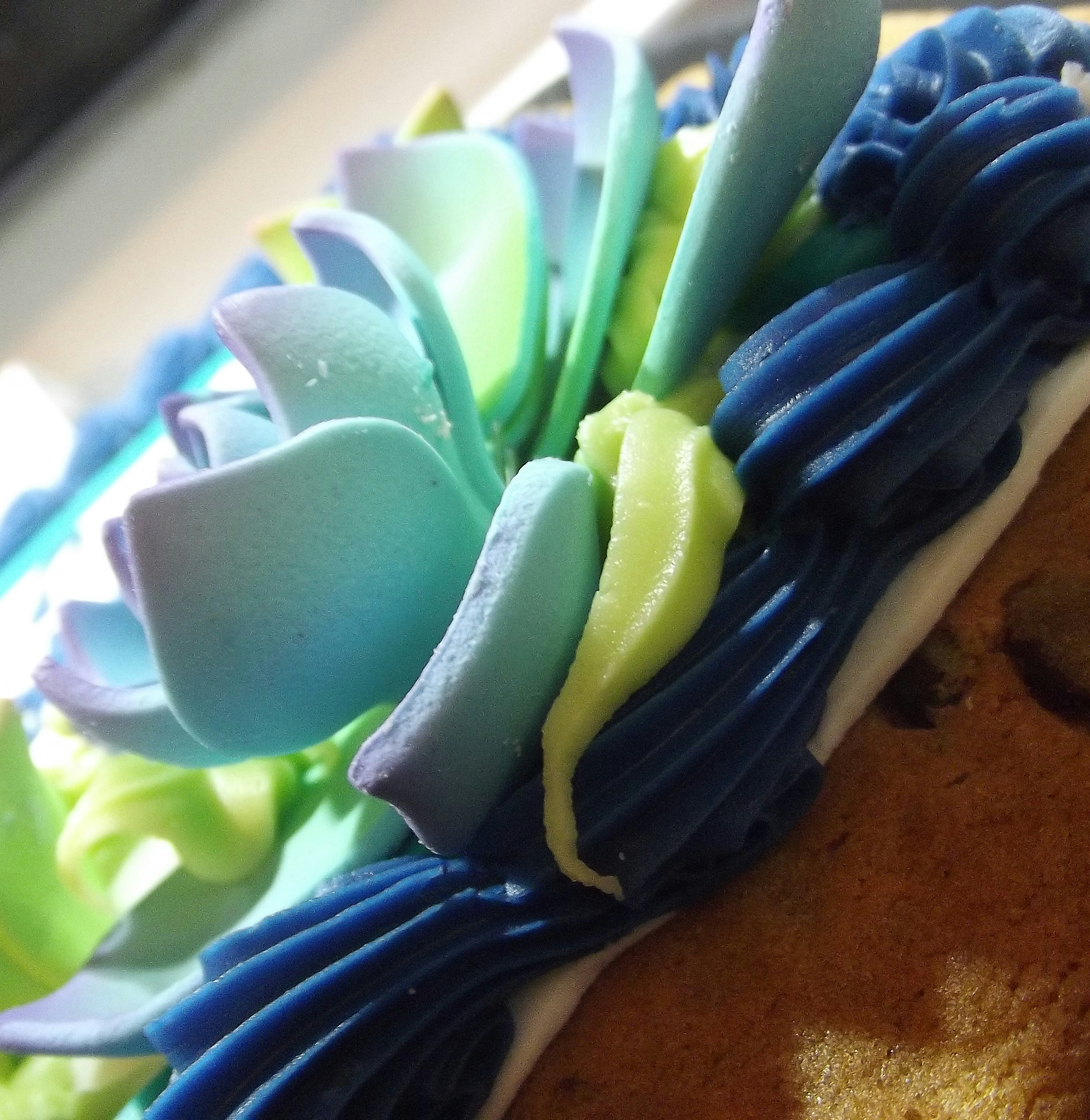 Cake frosting decorated with beautiful succulents. photo – Free Flowers ...