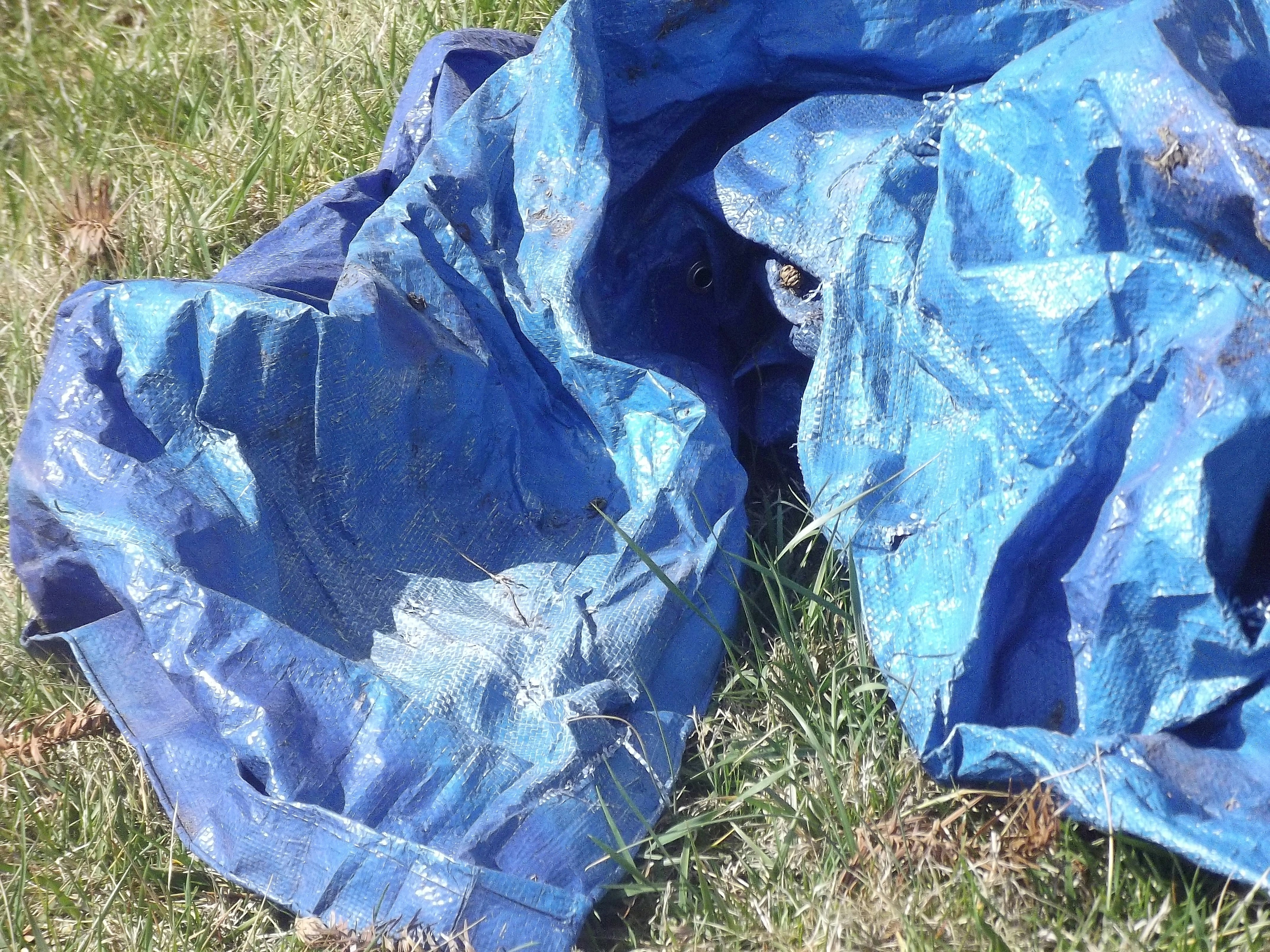 A plastic cover resting outside on the grass under sunlight.