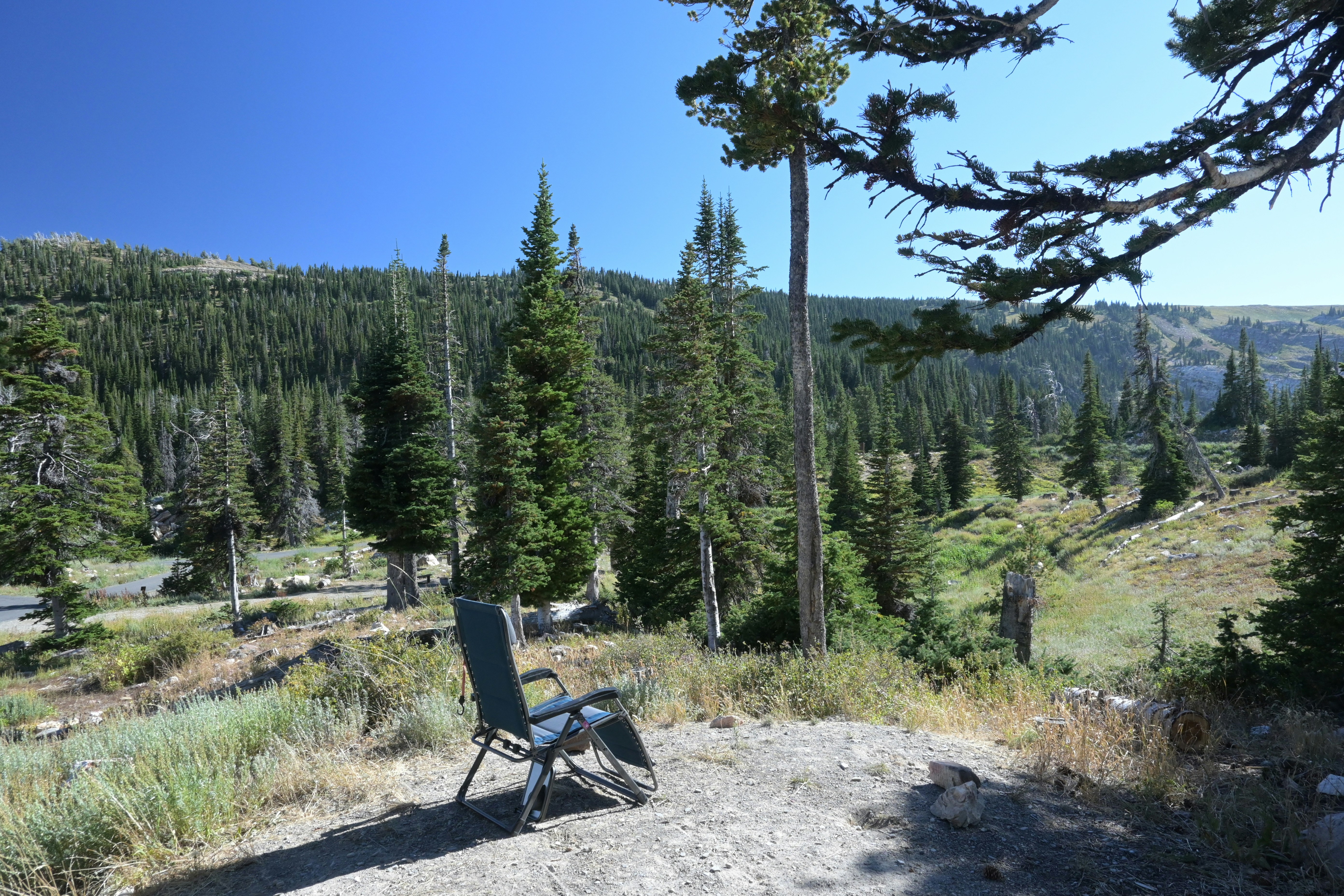 Tranquil Retreat Amidst Mountain Pines