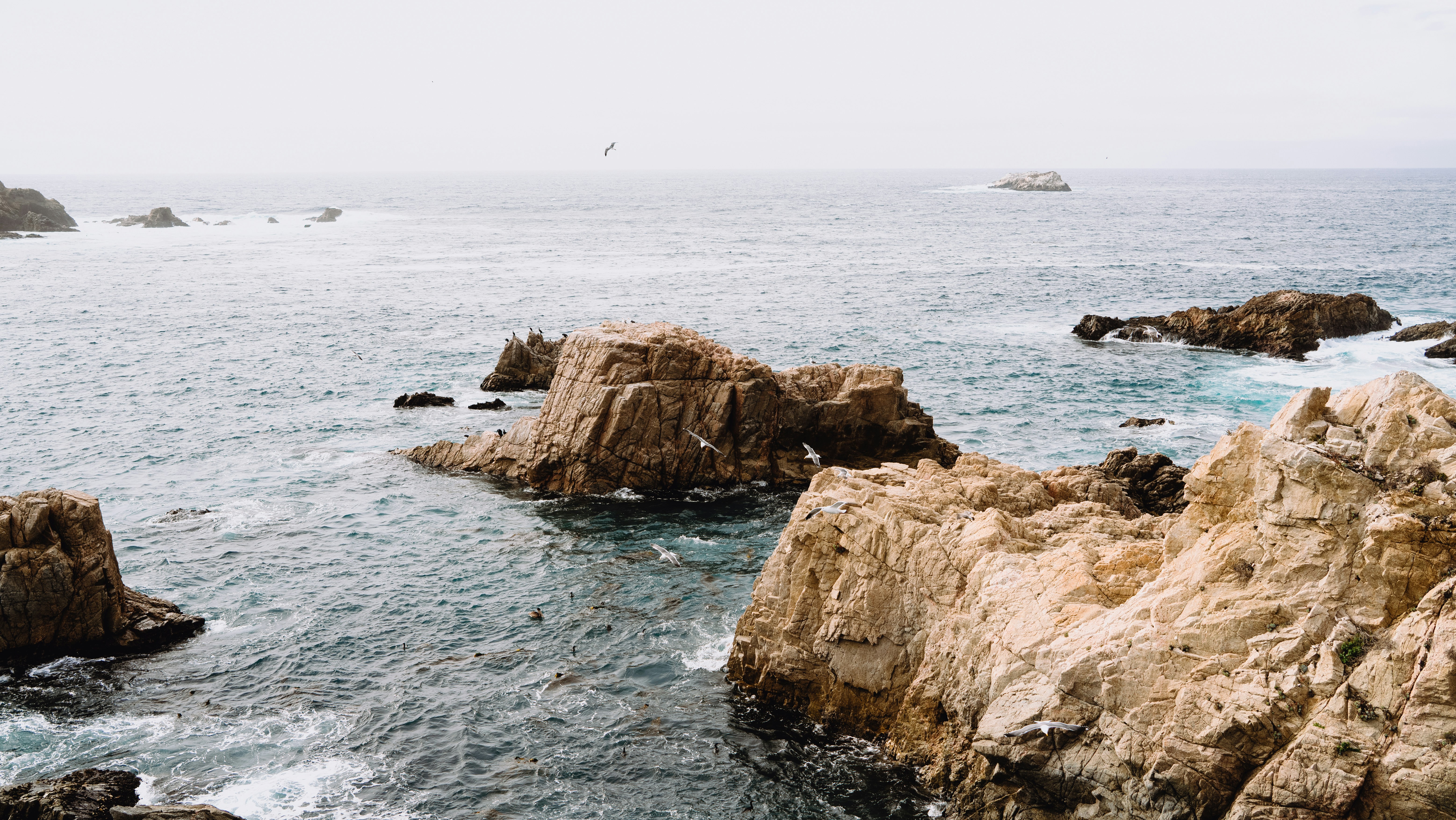 Rocky coastline meets the vast, grey ocean. photo – Free Wallpaper Image on Unsplash