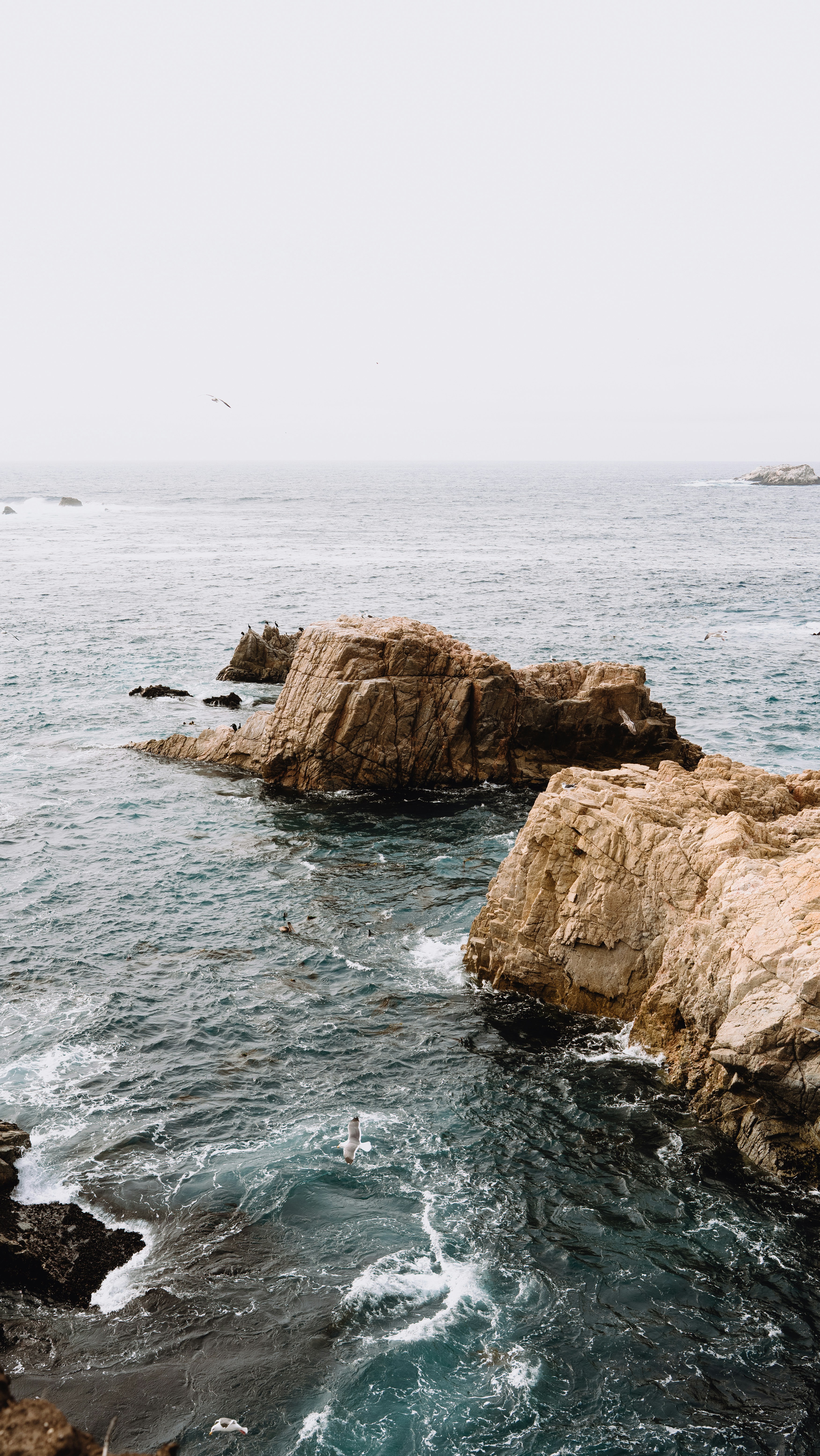 Rocky coastline meets the serene ocean. photo – Free Wallpaper Image on Unsplash