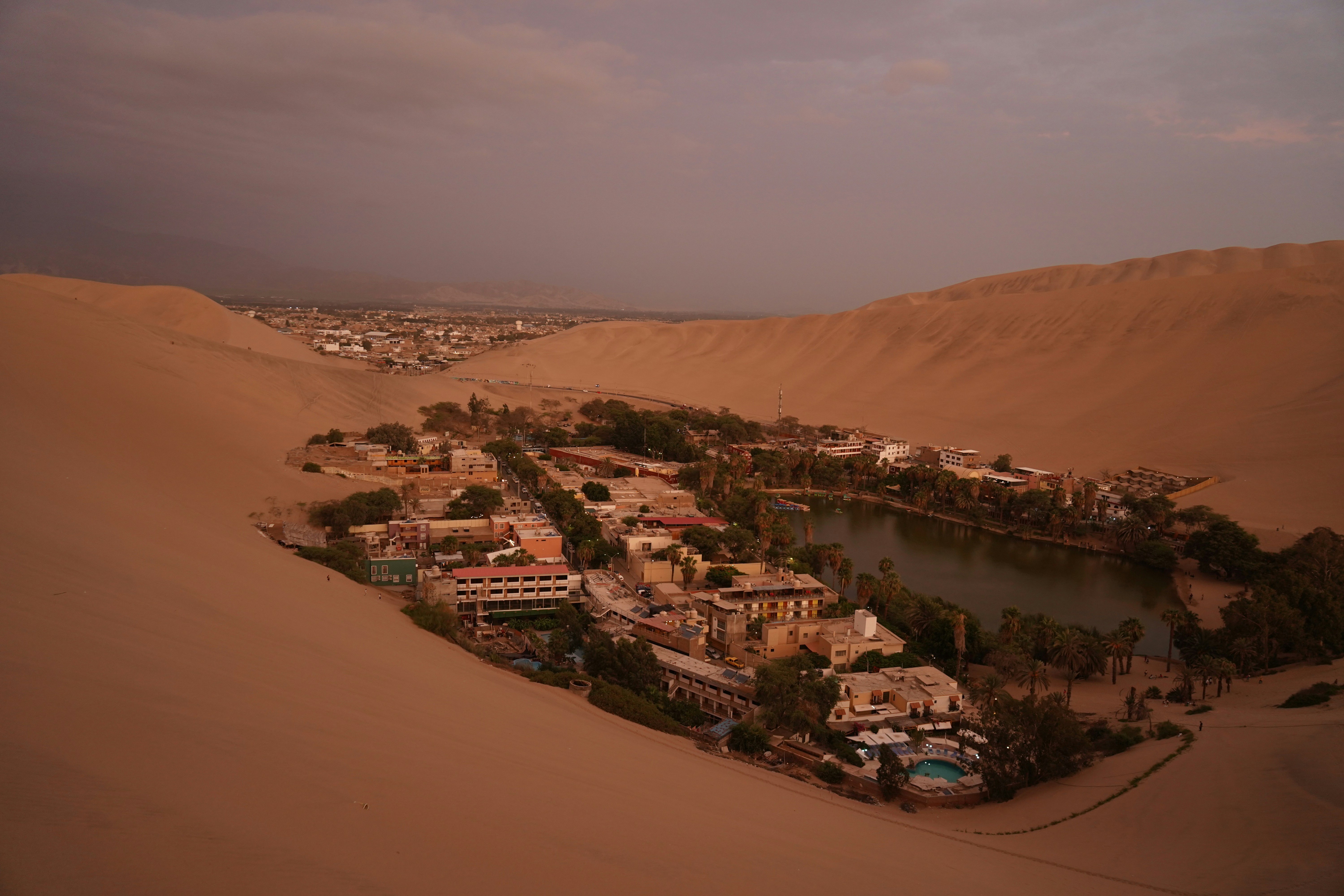 Desert oasis cradled by towering sand dunes under a moody evening sky.