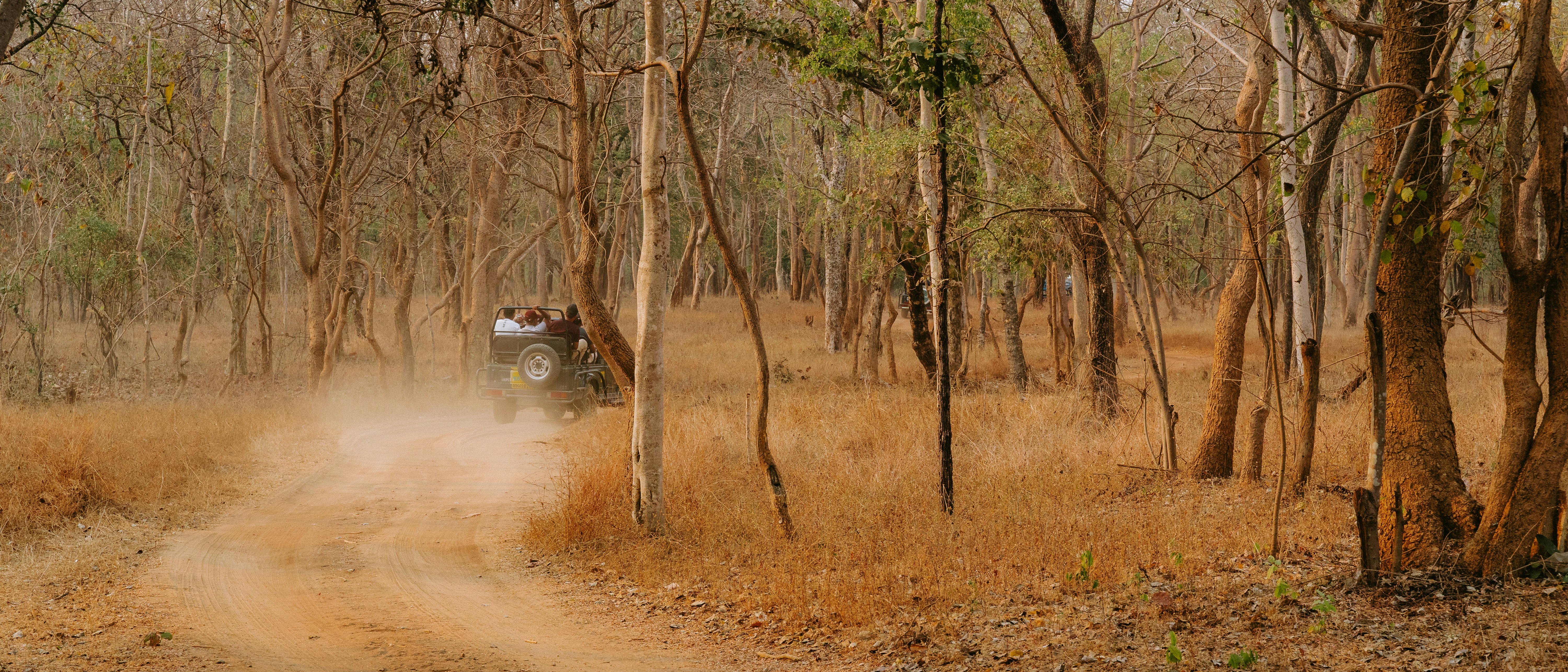 Photo by Danish Puri with Sony Alpha 7 III