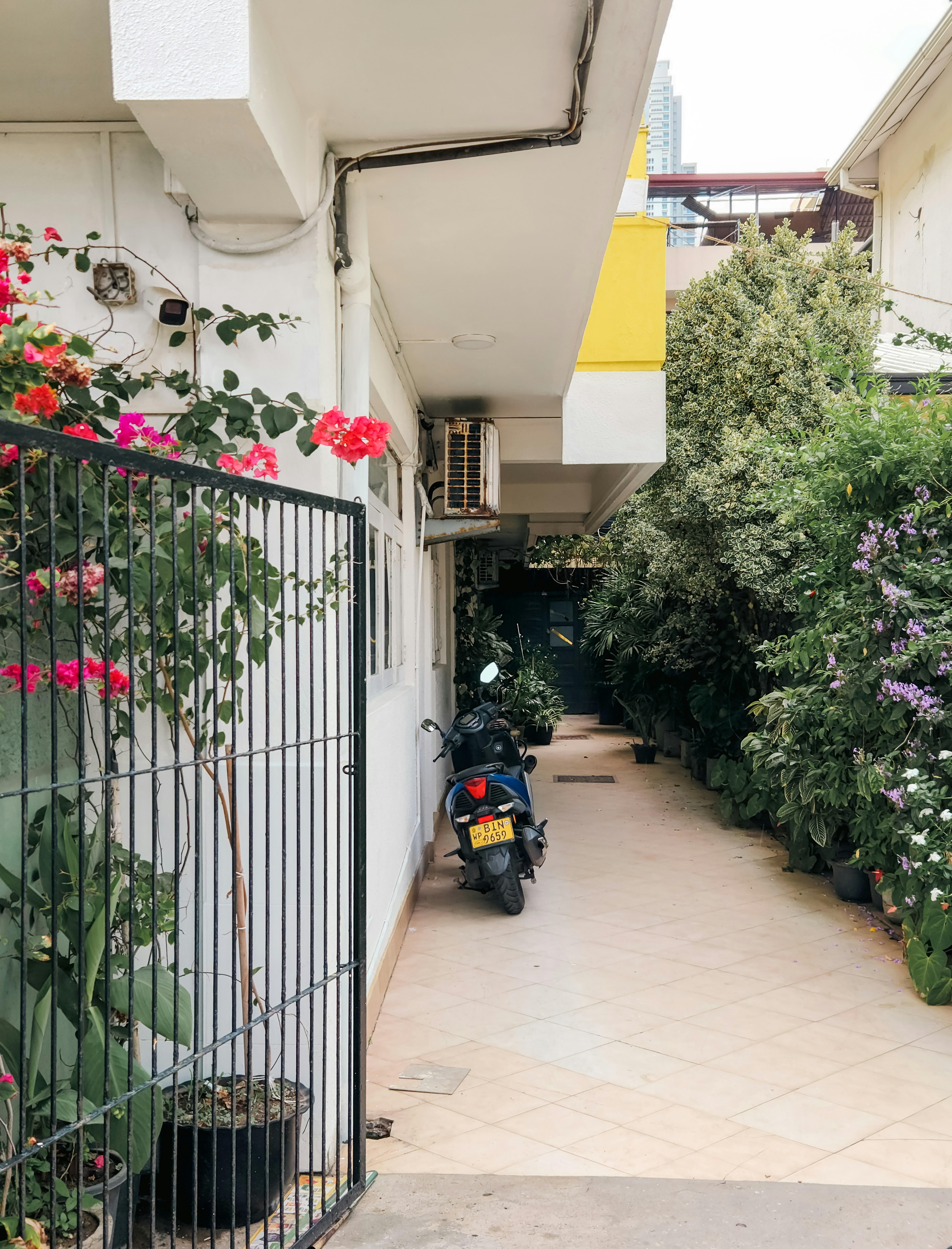 A gated entrance leading to a tiled walkway lined with potted plants.