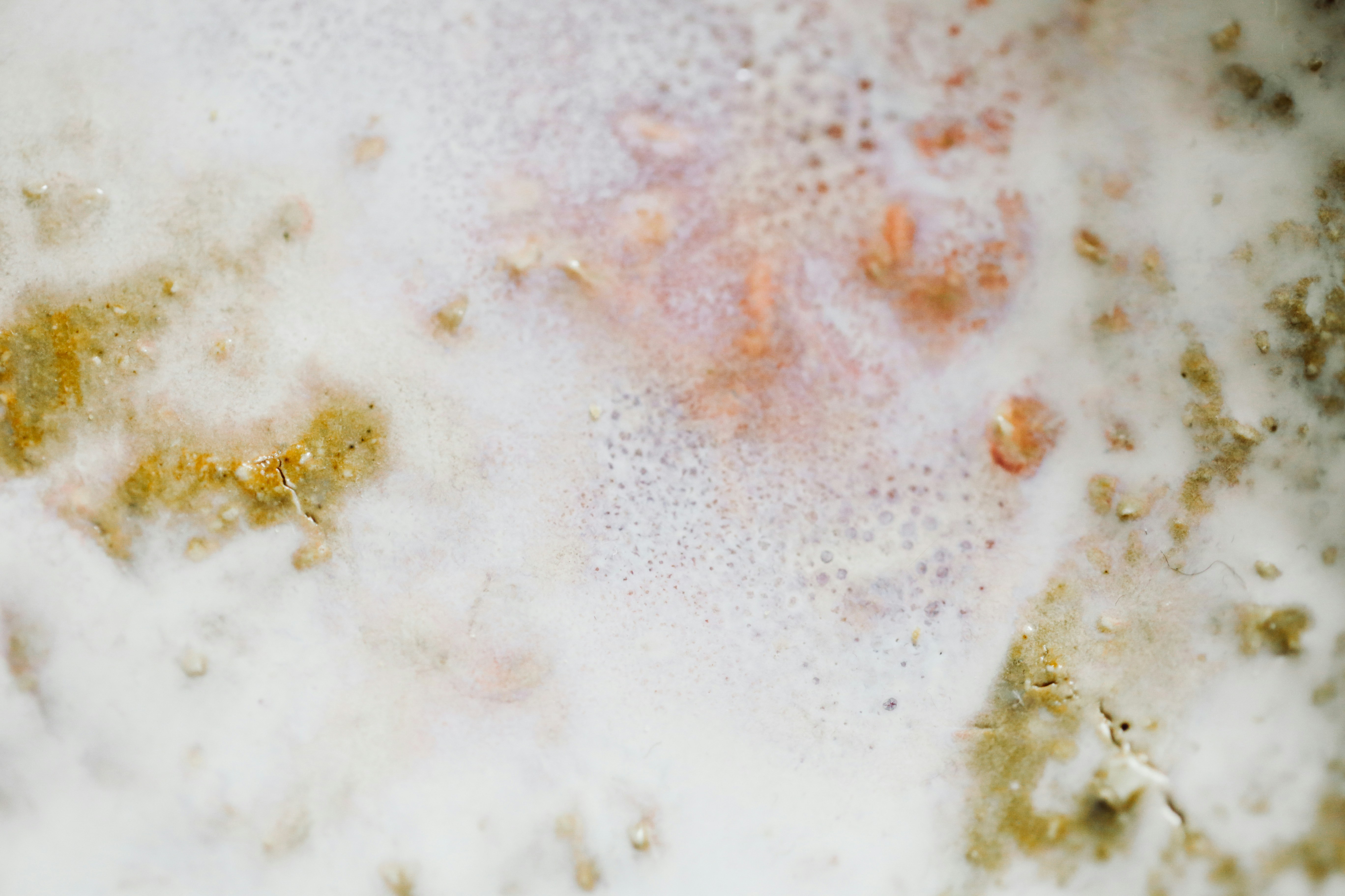Oatmeal with milk and some reddish particles. photo – Free Mold Image ...