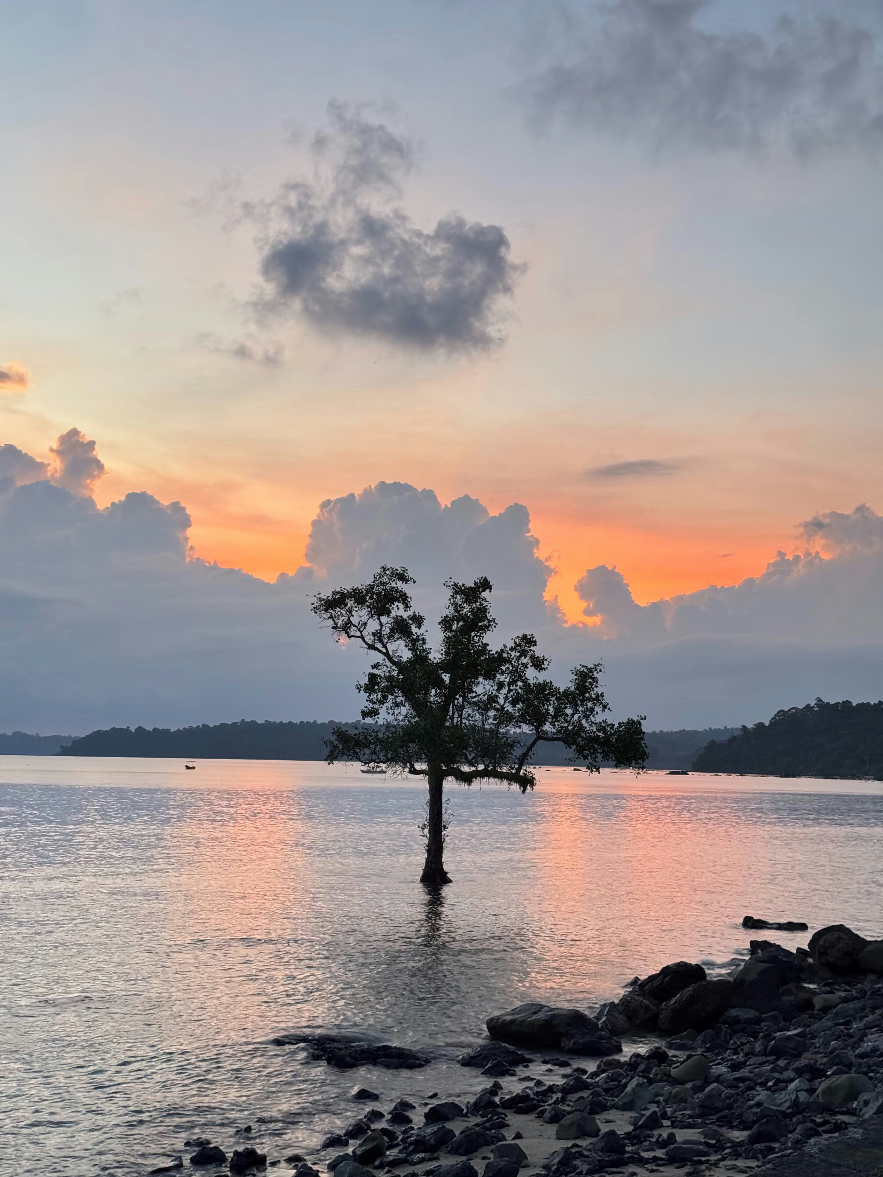 Ananya Jain (@aj306) | Unsplash Photo Community