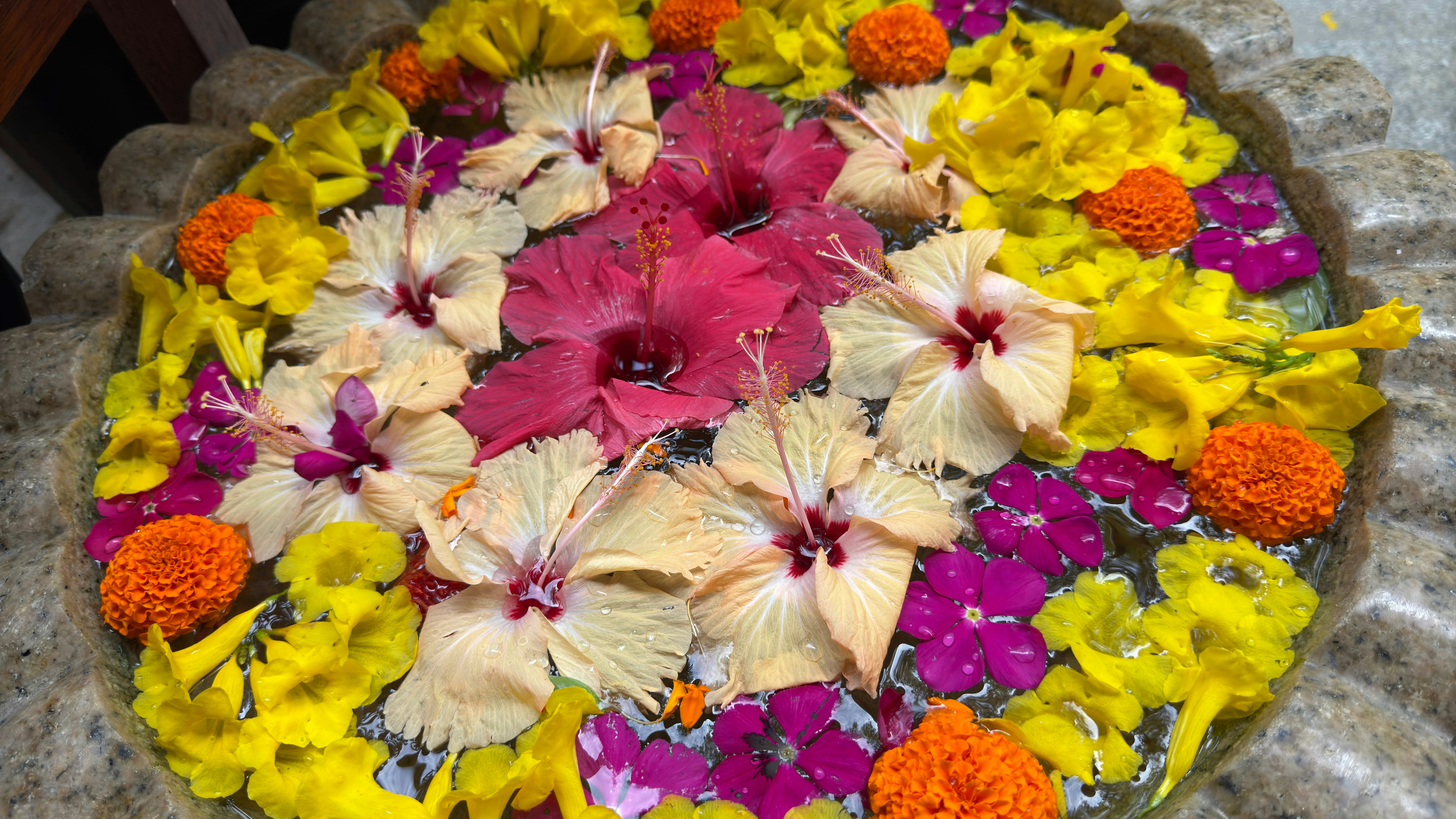 Ananya Jain (@aj306) | Unsplash Photo Community