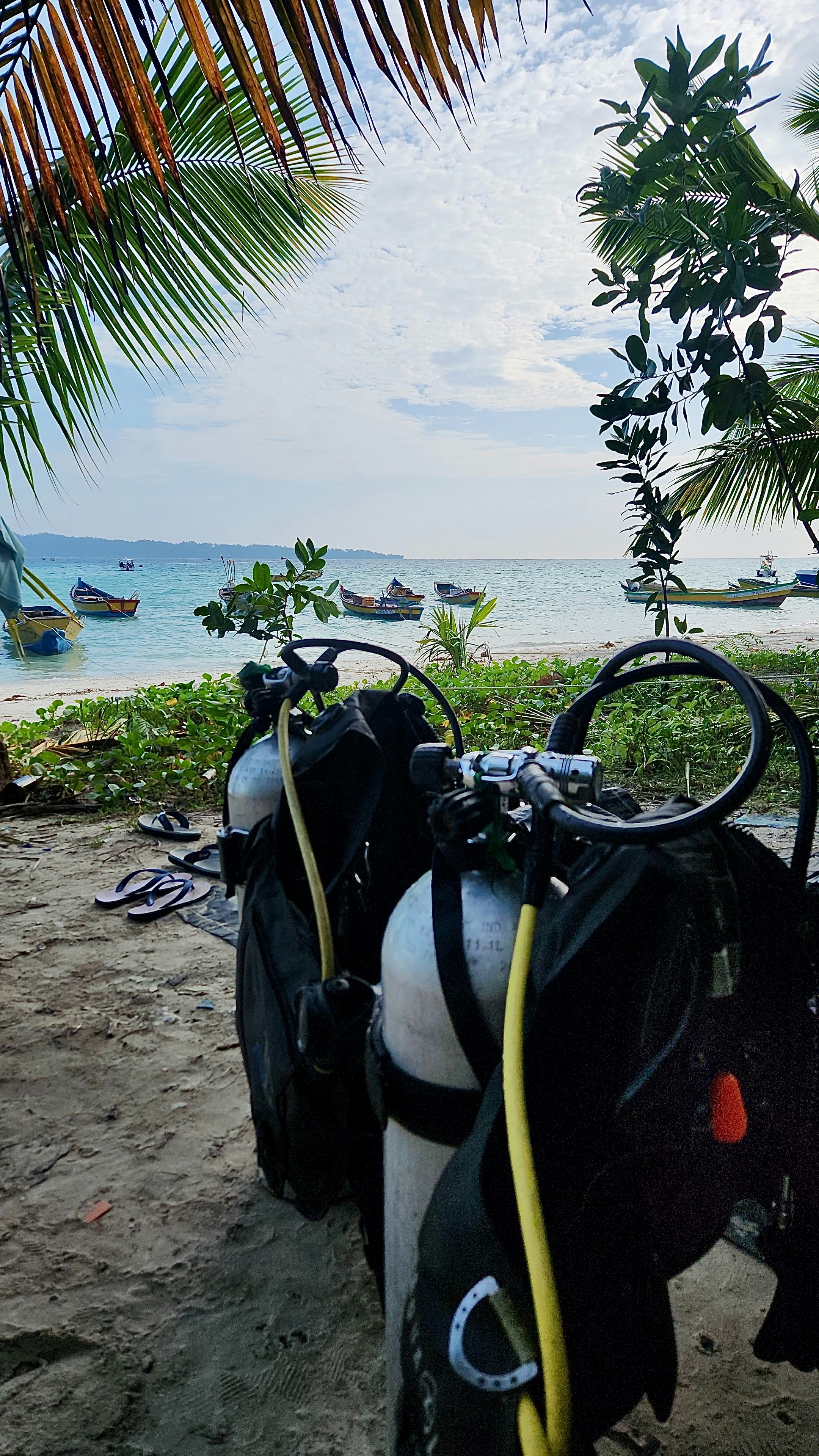 Ananya Jain (@aj306) | Unsplash Photo Community