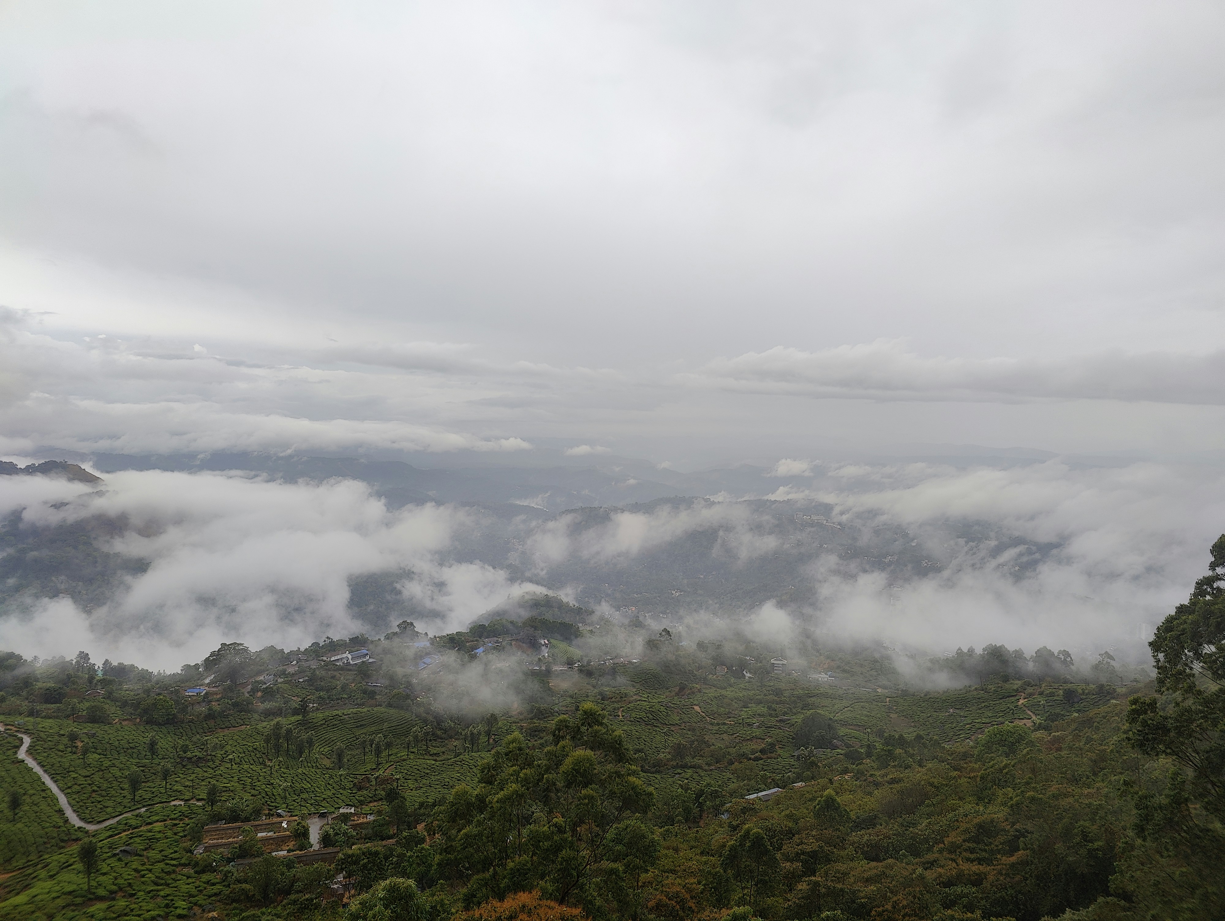 A breathtaking view of a fog-covered landscape in Kerala, where mist gently rolls over lush green hills and dense forests. The soft golden hues of sunrise (or sunset) peek through the clouds, casting a dreamy glow over the serene scenery. Tea plantations and winding roads disappear into the mist, creating a mystical and tranquil atmosphere, characteristic of Kerala’s hill stations like Munnar or Wayanad.