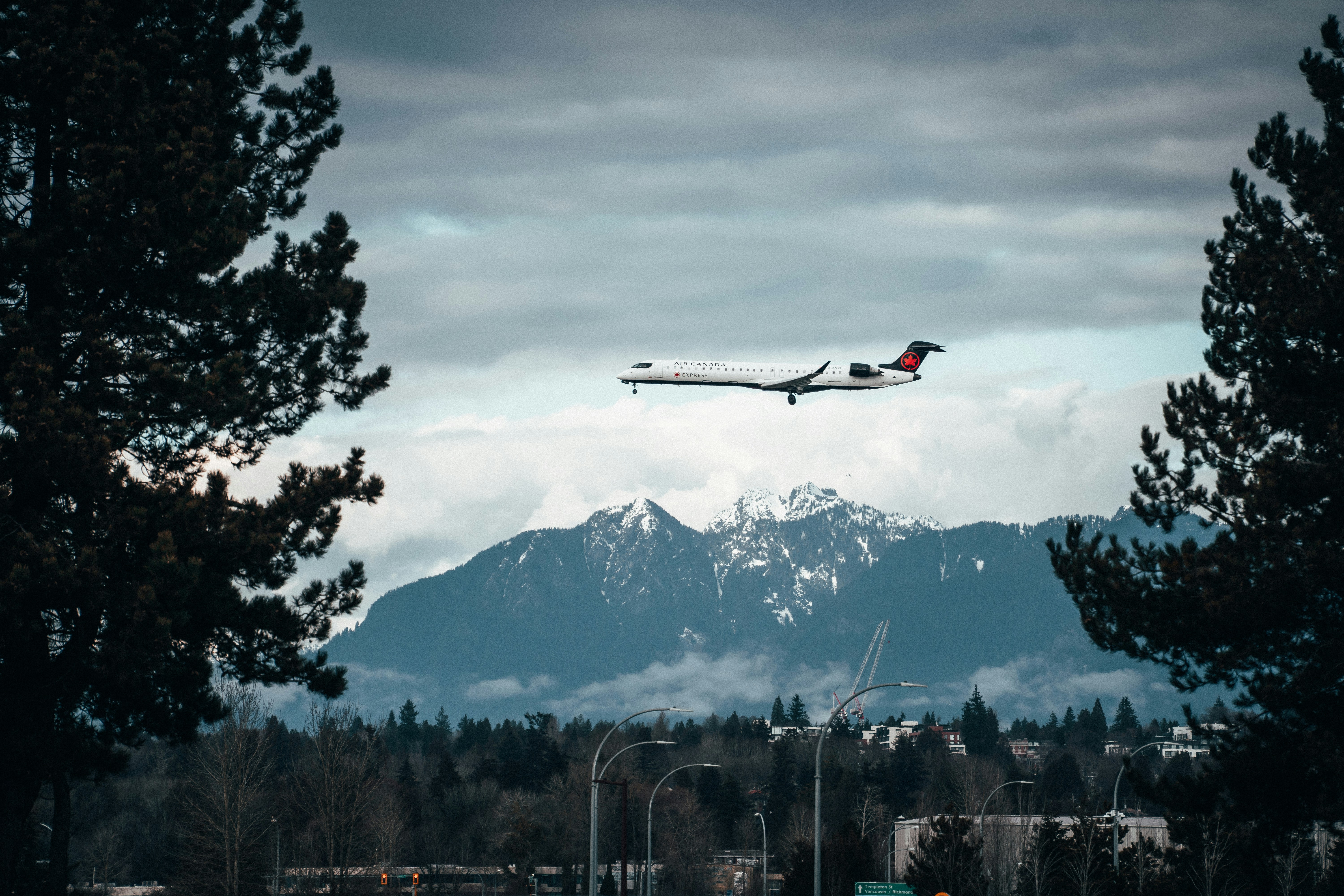 Airplane soaring above a mountainous landscape framed by tall trees under a cloudy sky.