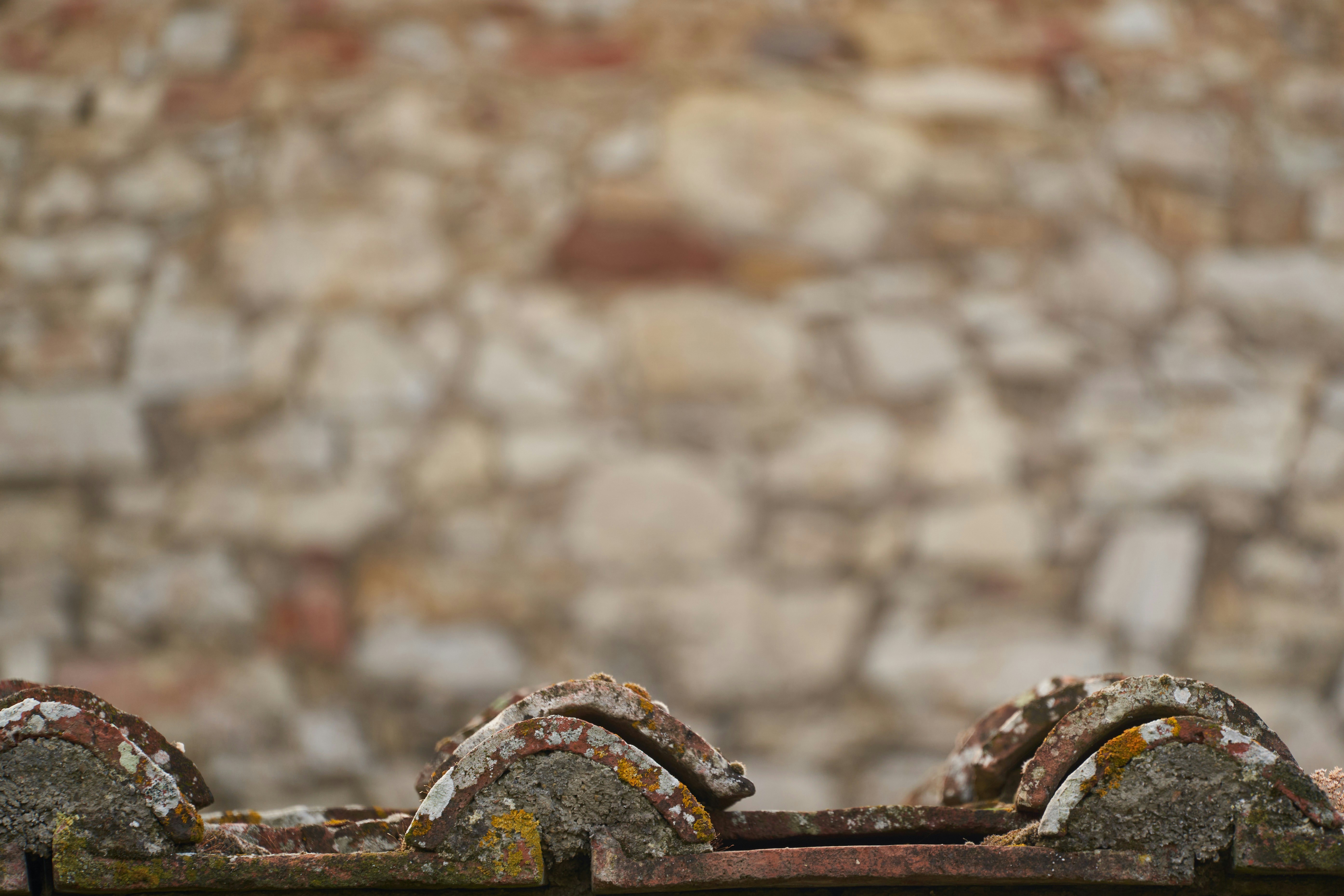 Moss-Kissed Roof Tiles Framing a Weathered Stone Wall