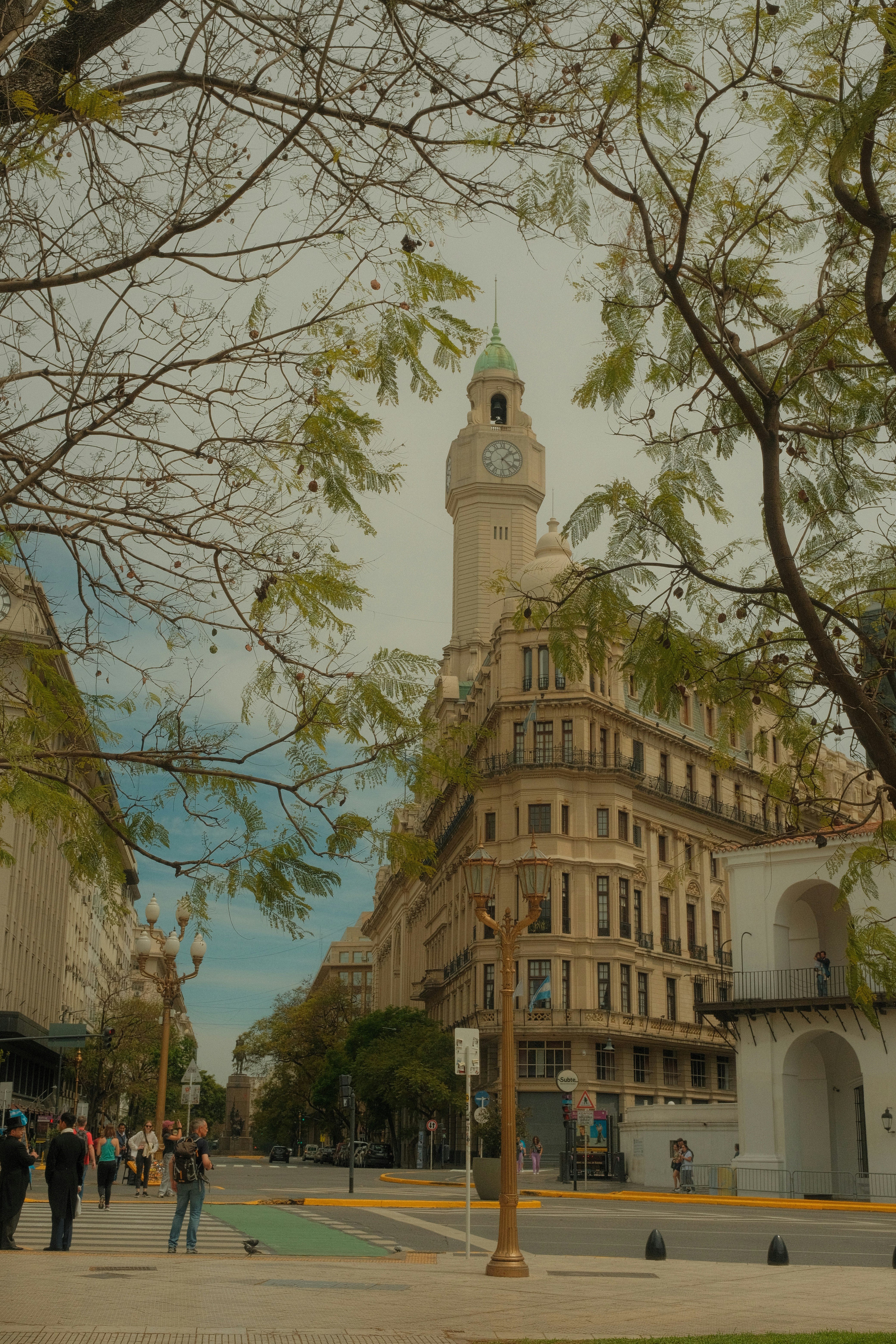 Clock-Tower Vista: Sunlit Avenue Framed by Leafy Canopy