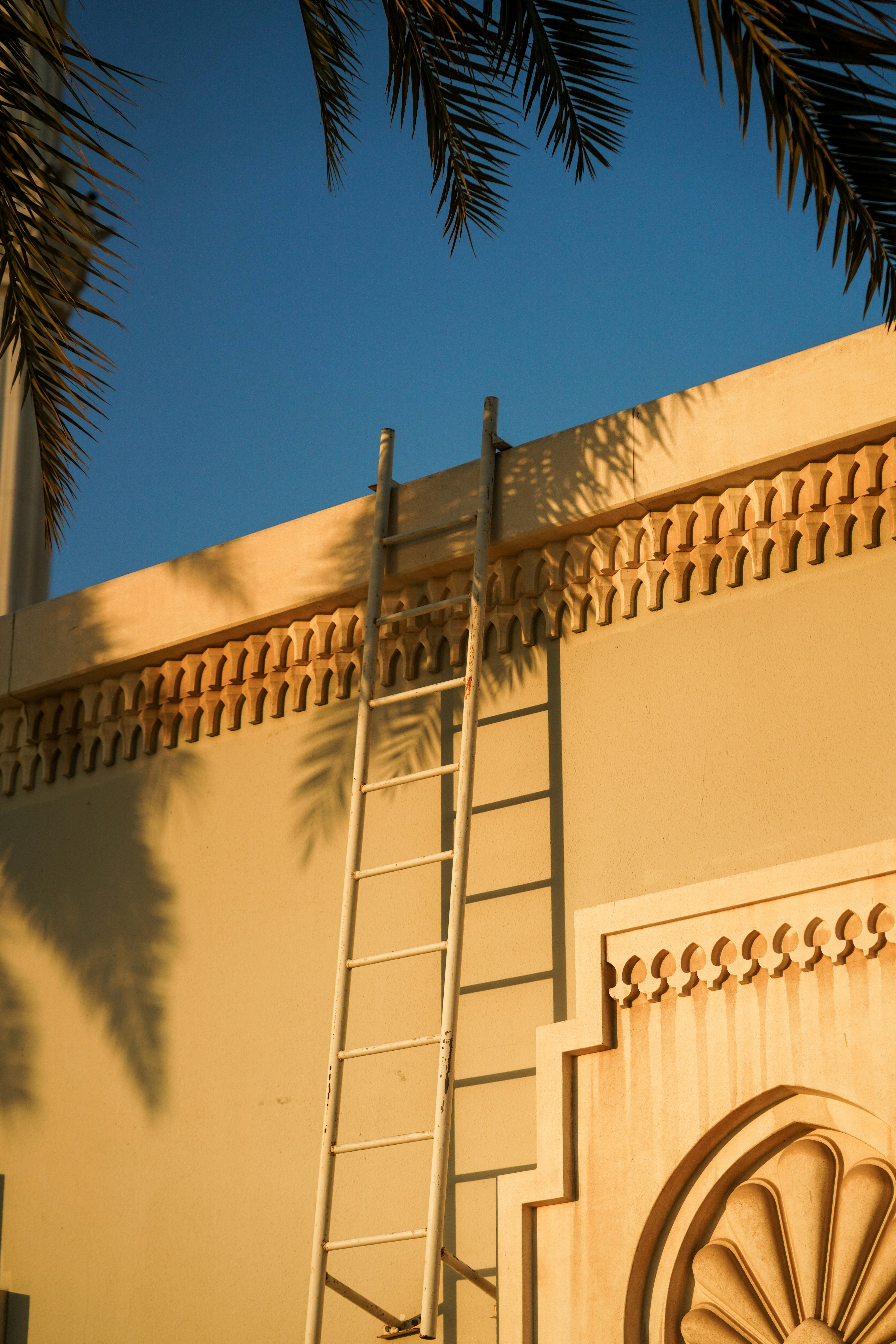 Ladder leans against a beige wall under palm trees. photo – Free ...