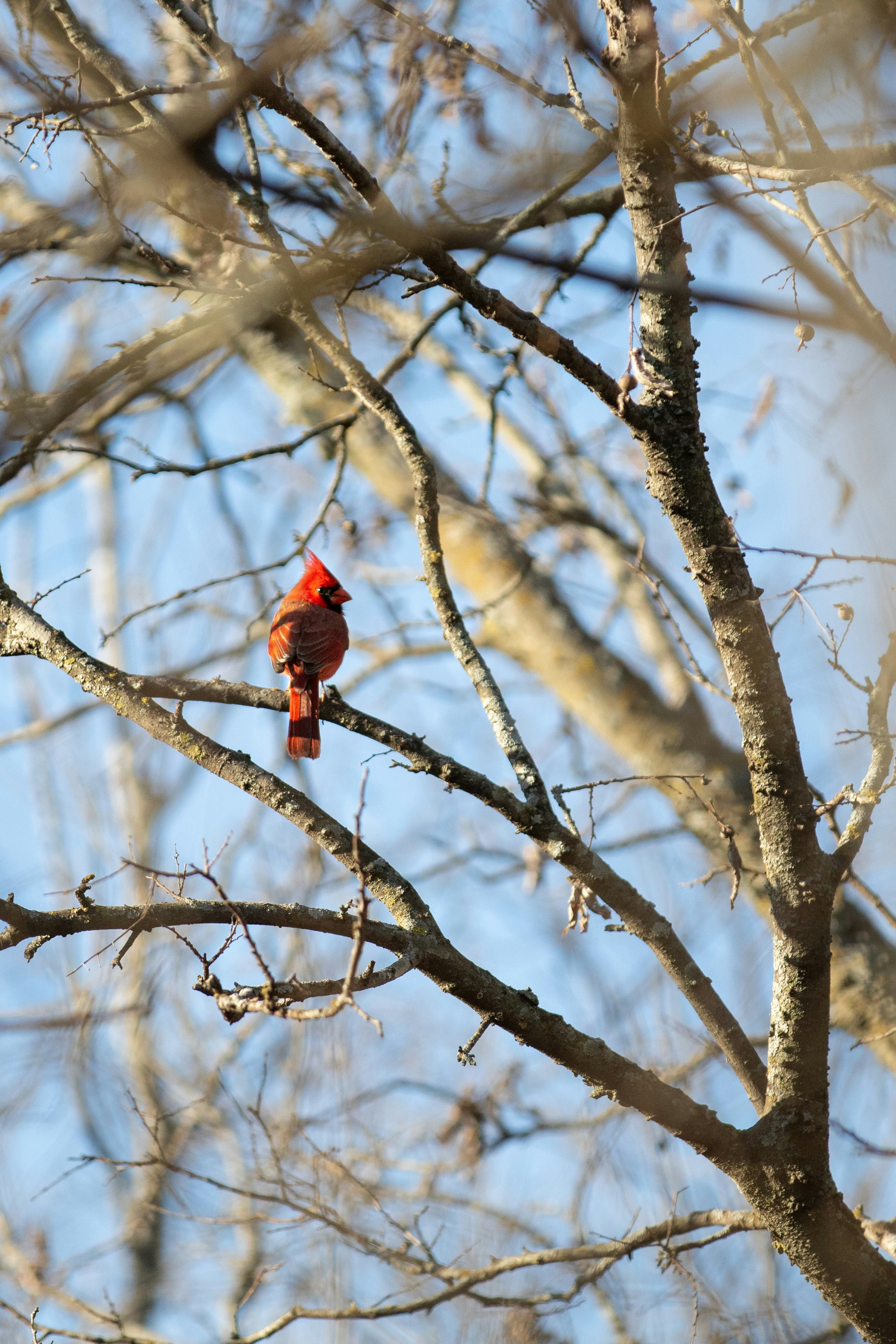 Photo by Chandler Cruttenden with Canon EOS 7D Mark II