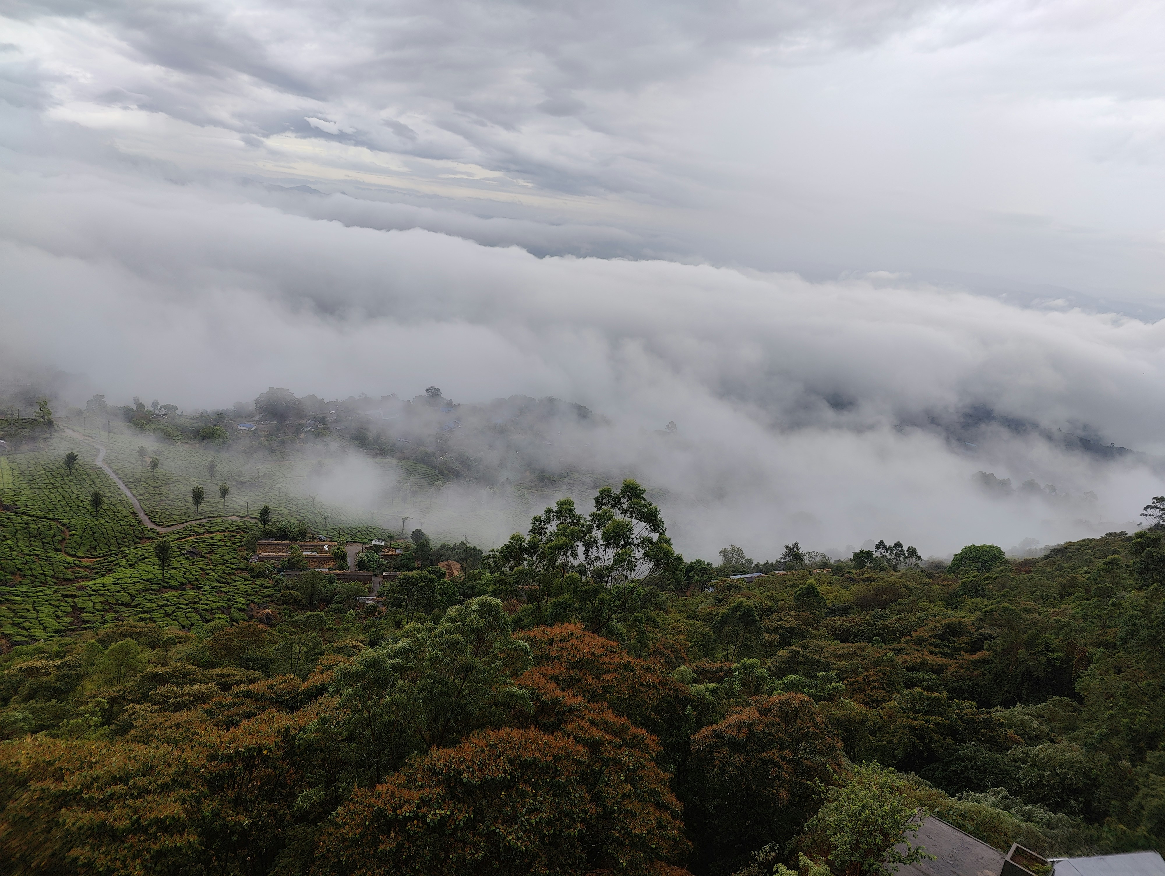 Rolling hillside with autumnal trees and a low-lying fog weaving through a valley, with a winding road and small houses on the left.