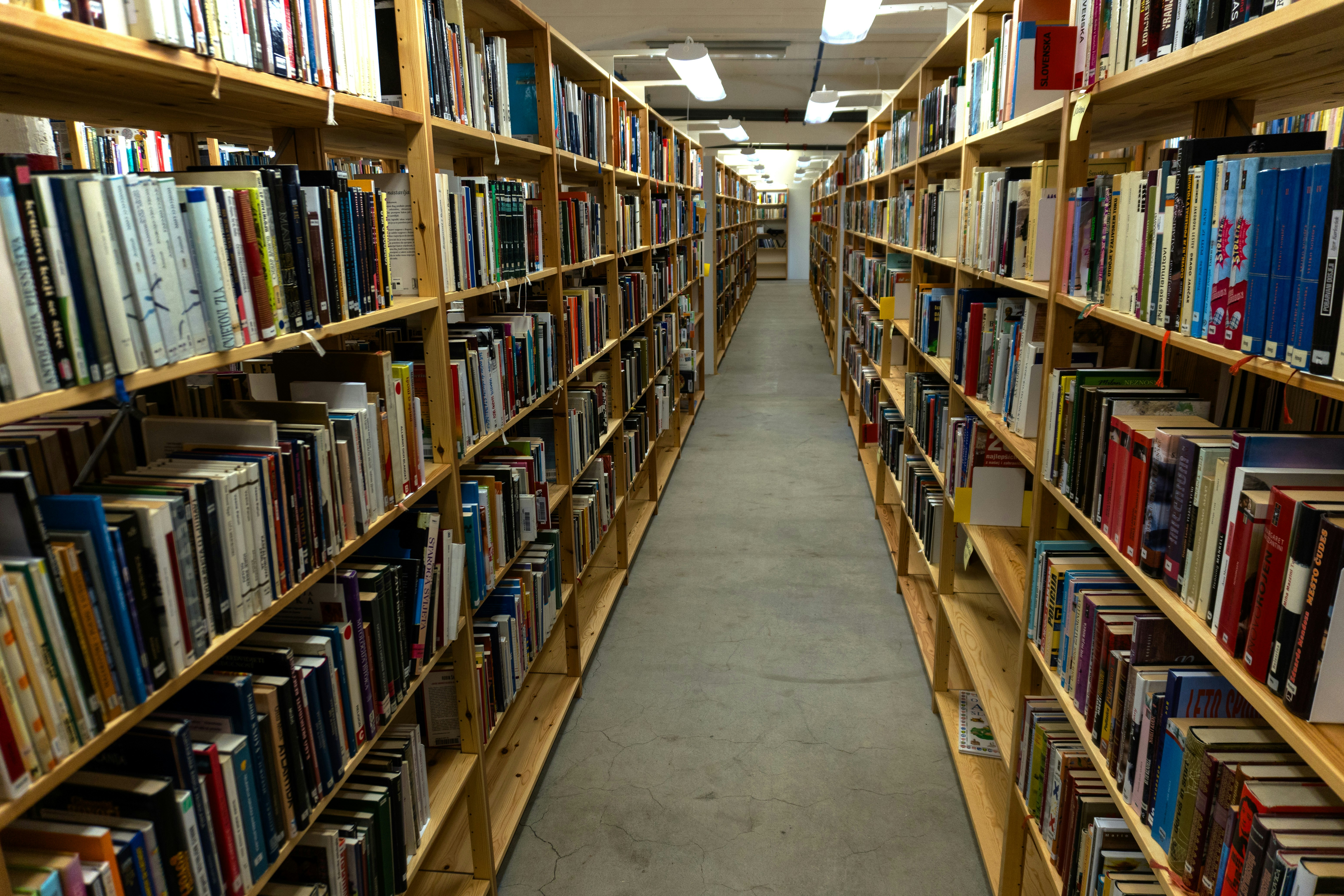 Mild Pictures | Download Free Images on Unsplash