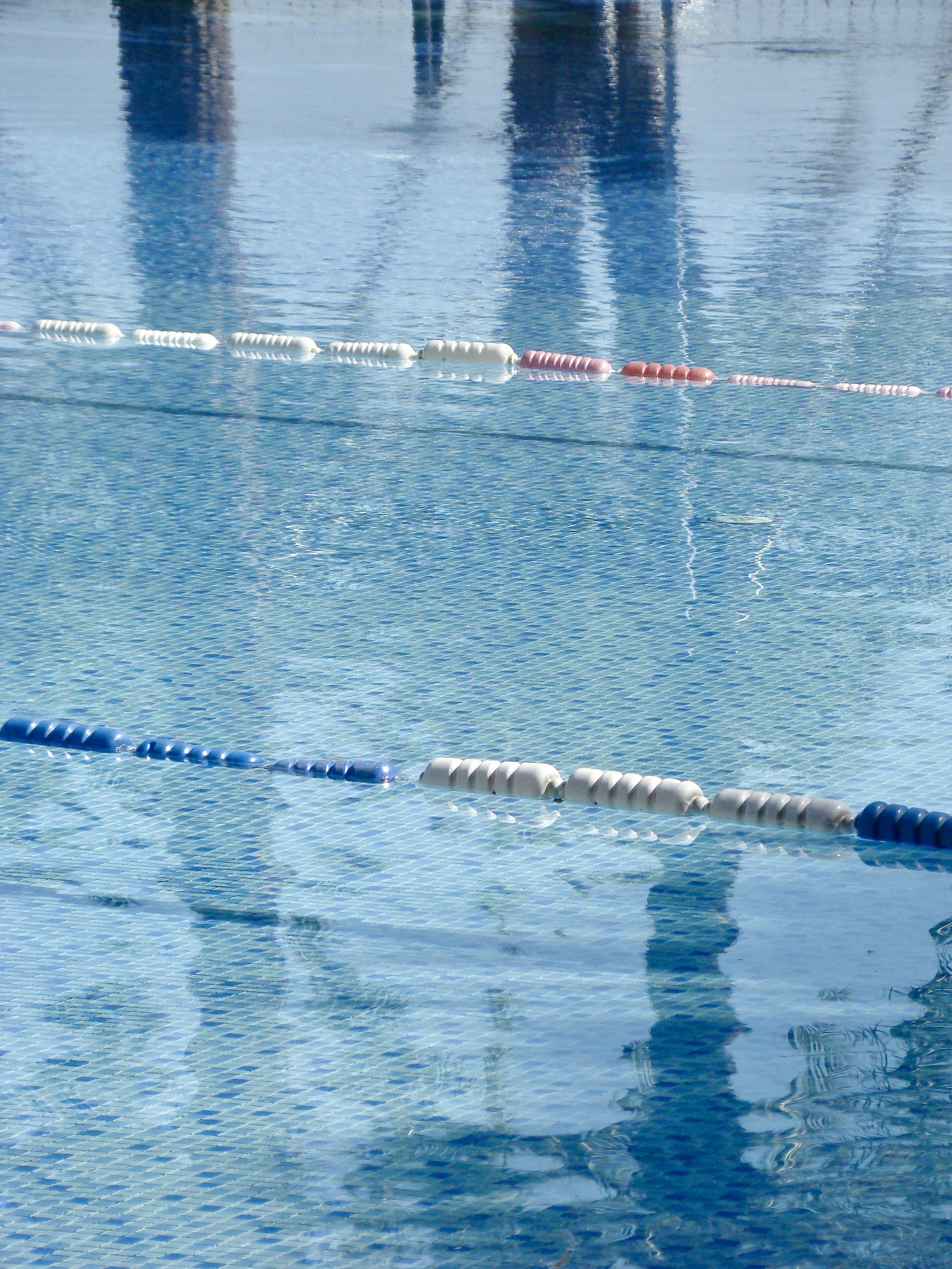 Swimming pool with lane markers and reflections. photo – Free Boat ...