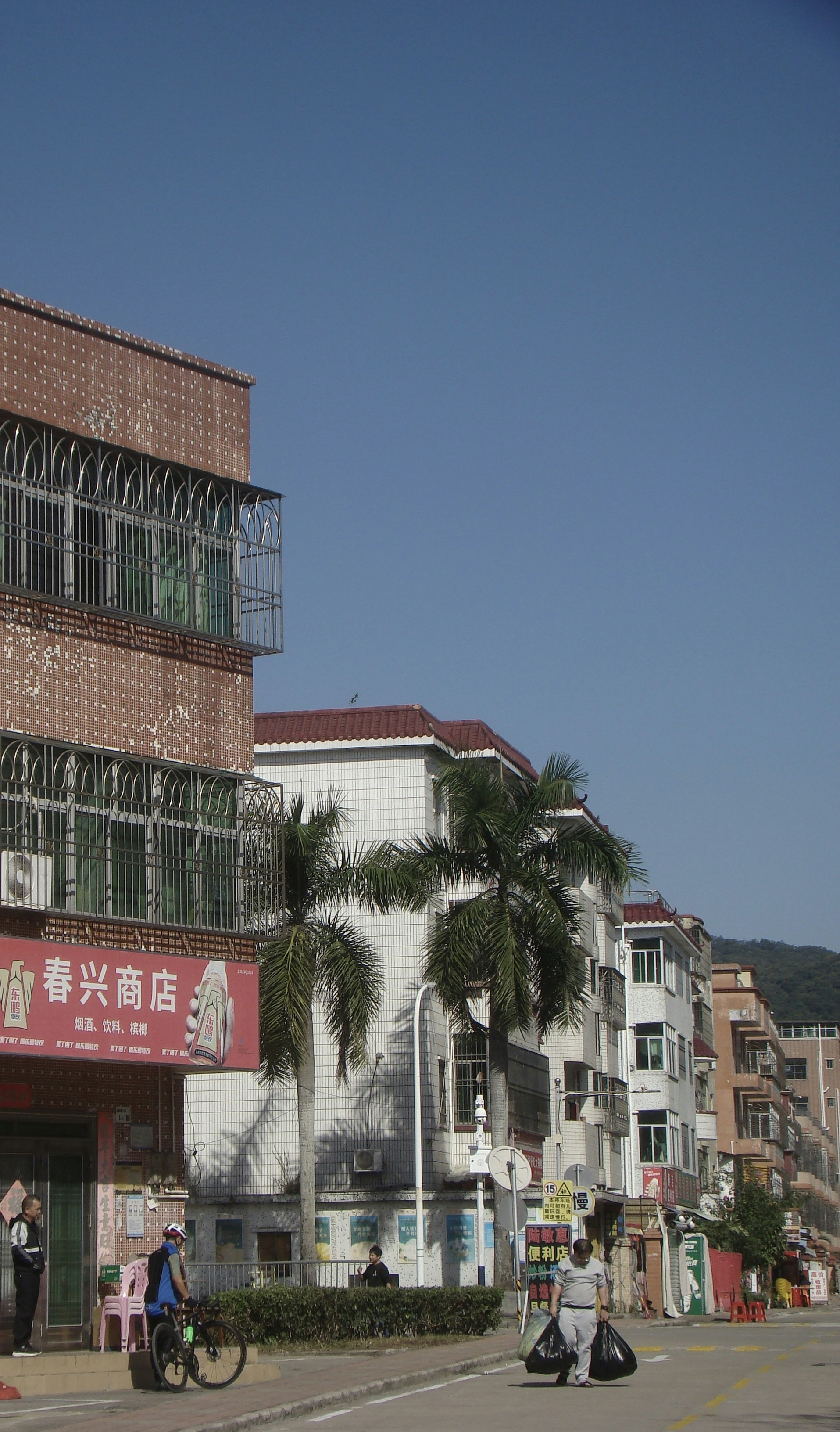 Palm-lined street scene with a row of brick and white buildings under a clear blue sky. Pedestrians and a cyclist populate the sunlit sidewalk beside storefronts and palm trees.