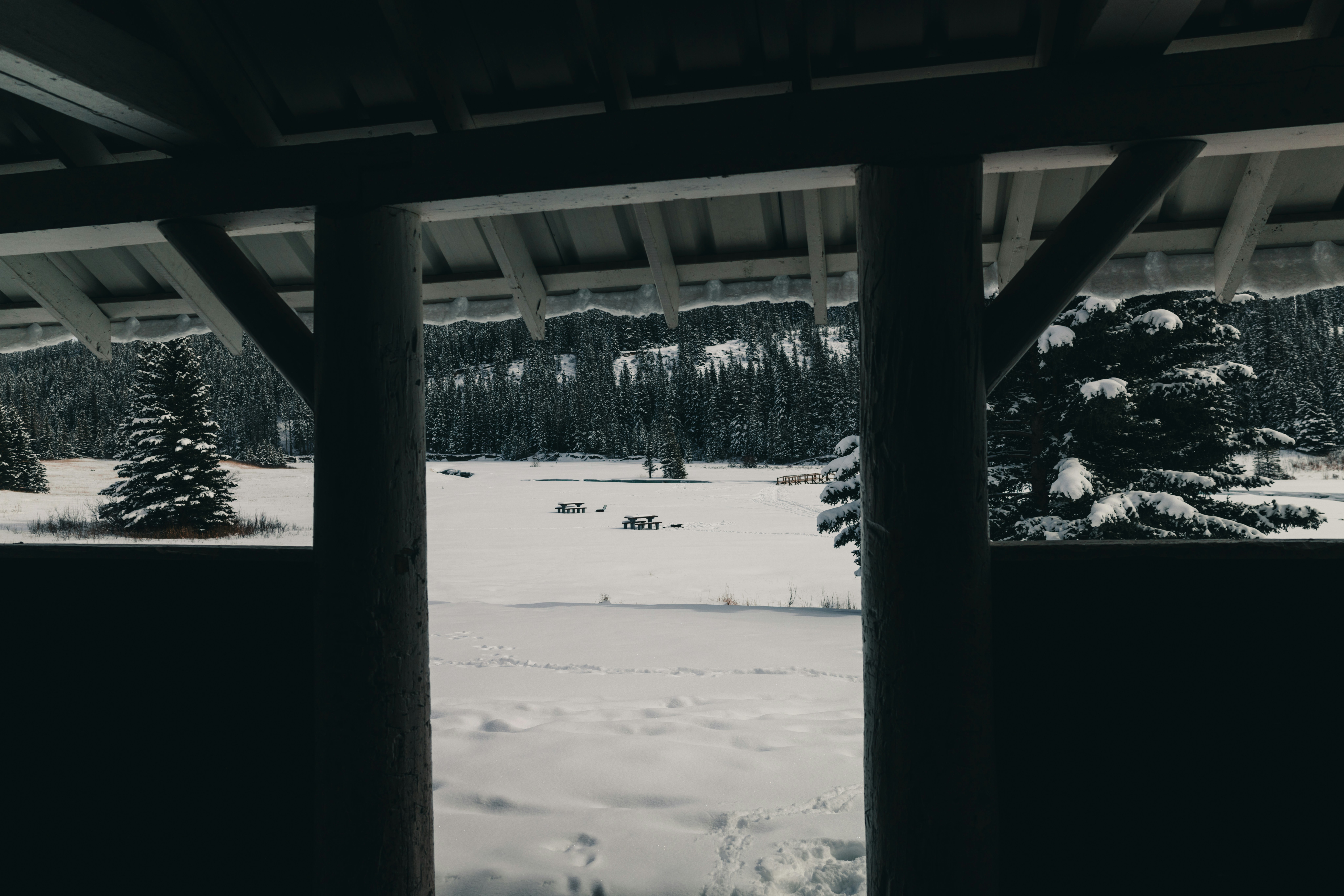 Snow-covered landscape framed by rustic beams, showcasing a tranquil scene of distant trees and a frozen expanse.