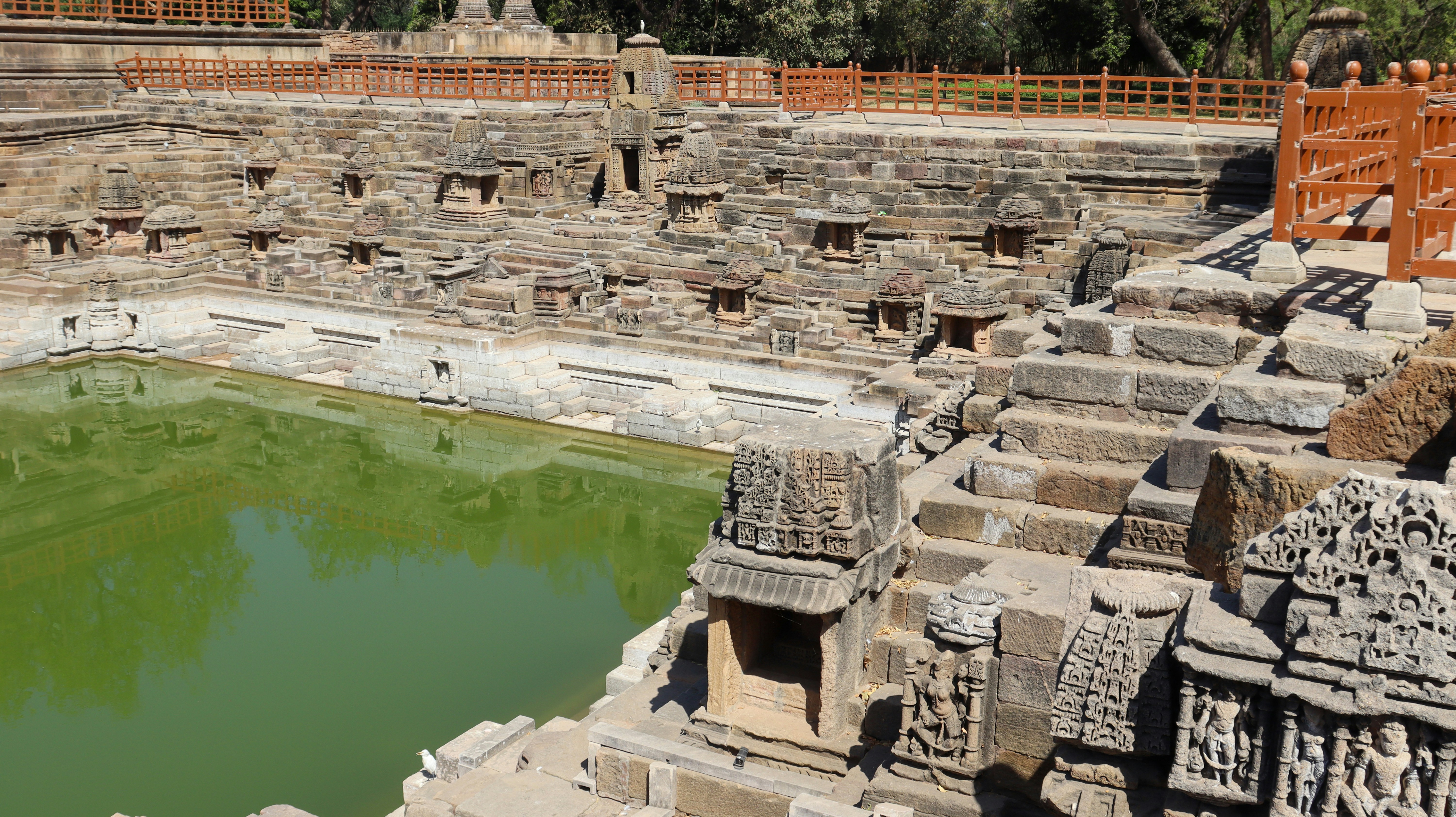 Stone Carvings Over a Verdant Pool on a Sunlit Terrace