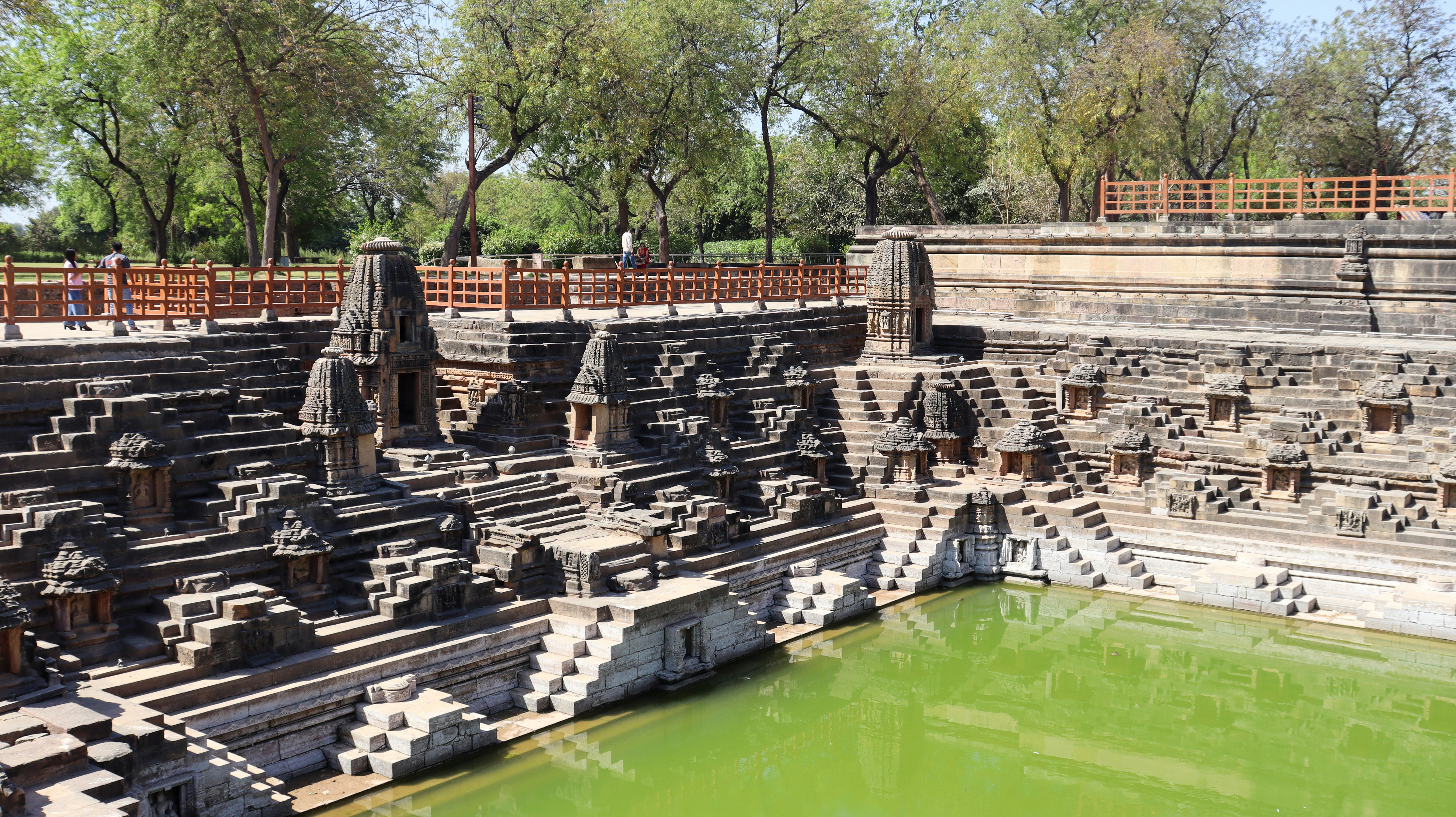 Terraced Amphitheater Framing a Lime Pool Beneath Shade Trees