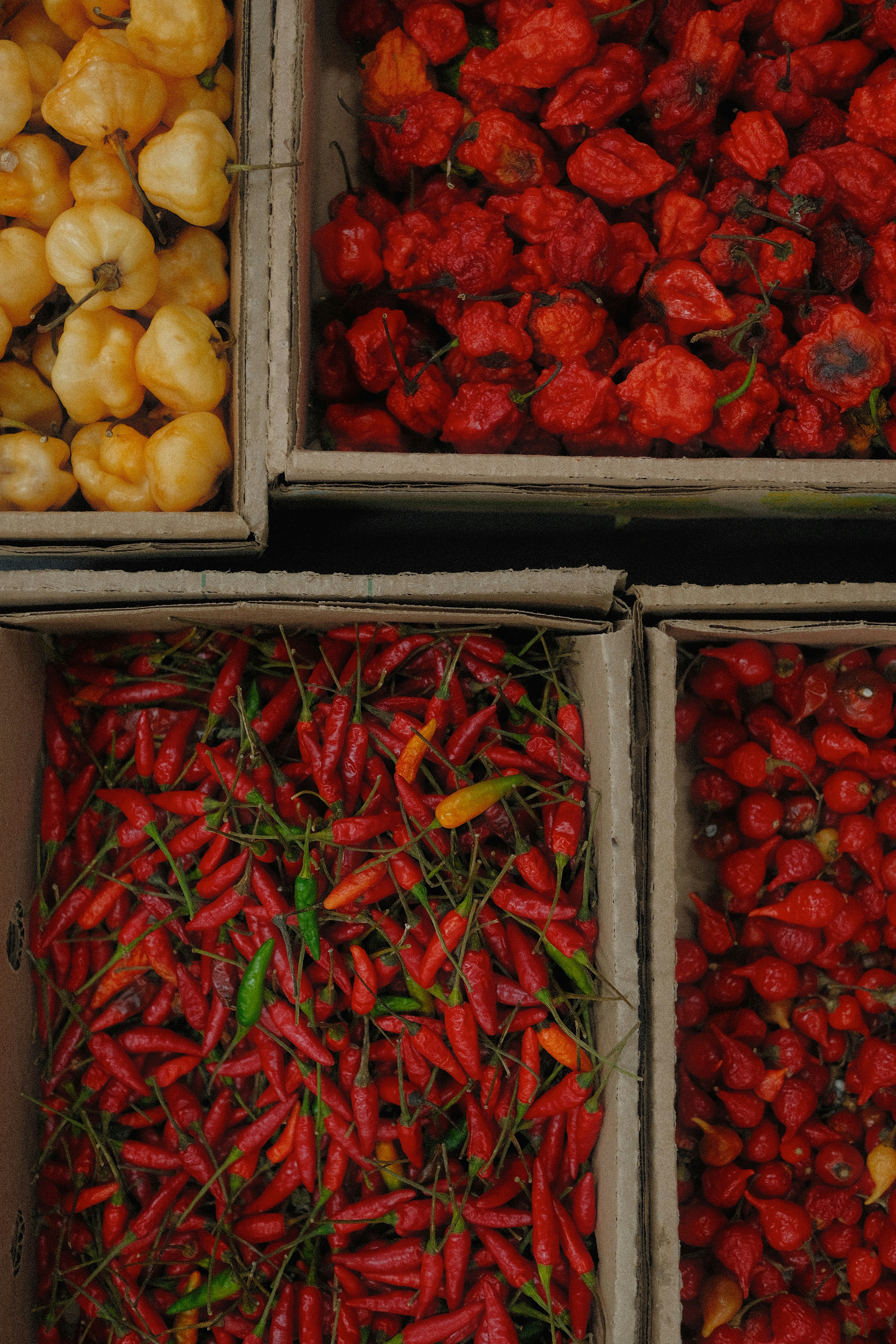 Chili Crescendo: A Four-Crate Market Study in Red and Gold