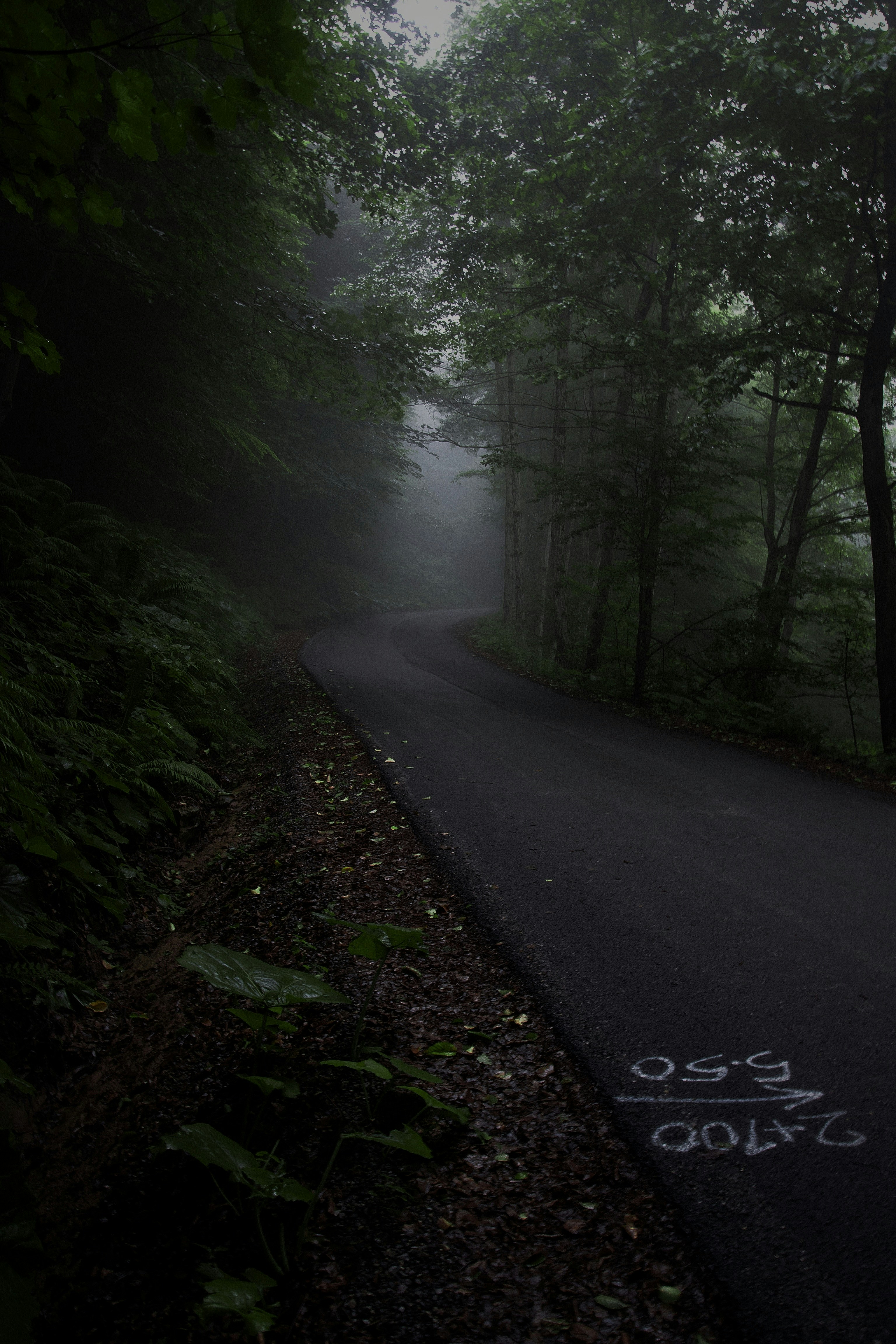 Photo by Anya Akbari with Nikon D3100