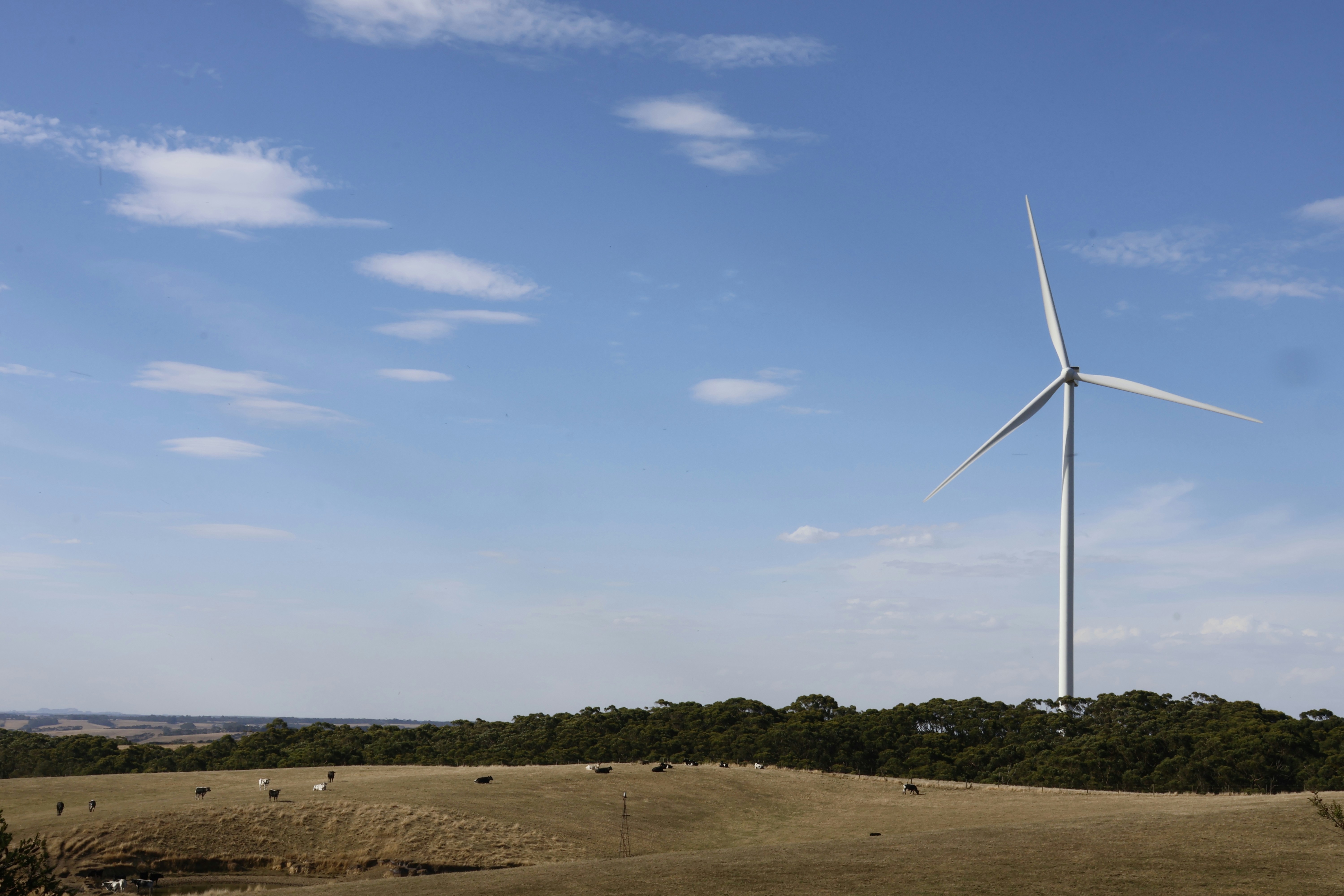 Whispering Wind: A Lone Turbine Among Golden Hills