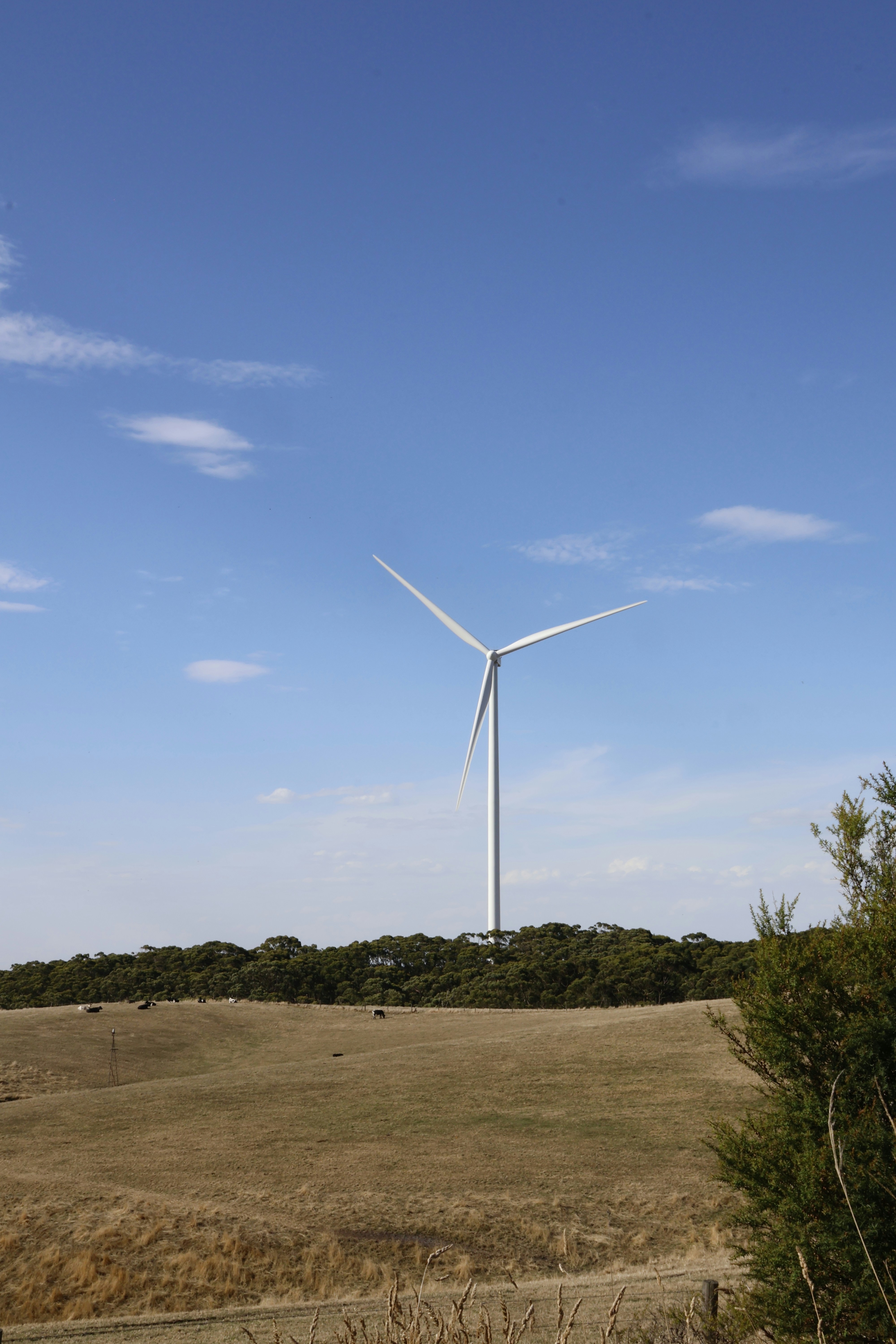 A wind turbine stands under a bright, blue sky. photo – Free Grass ...