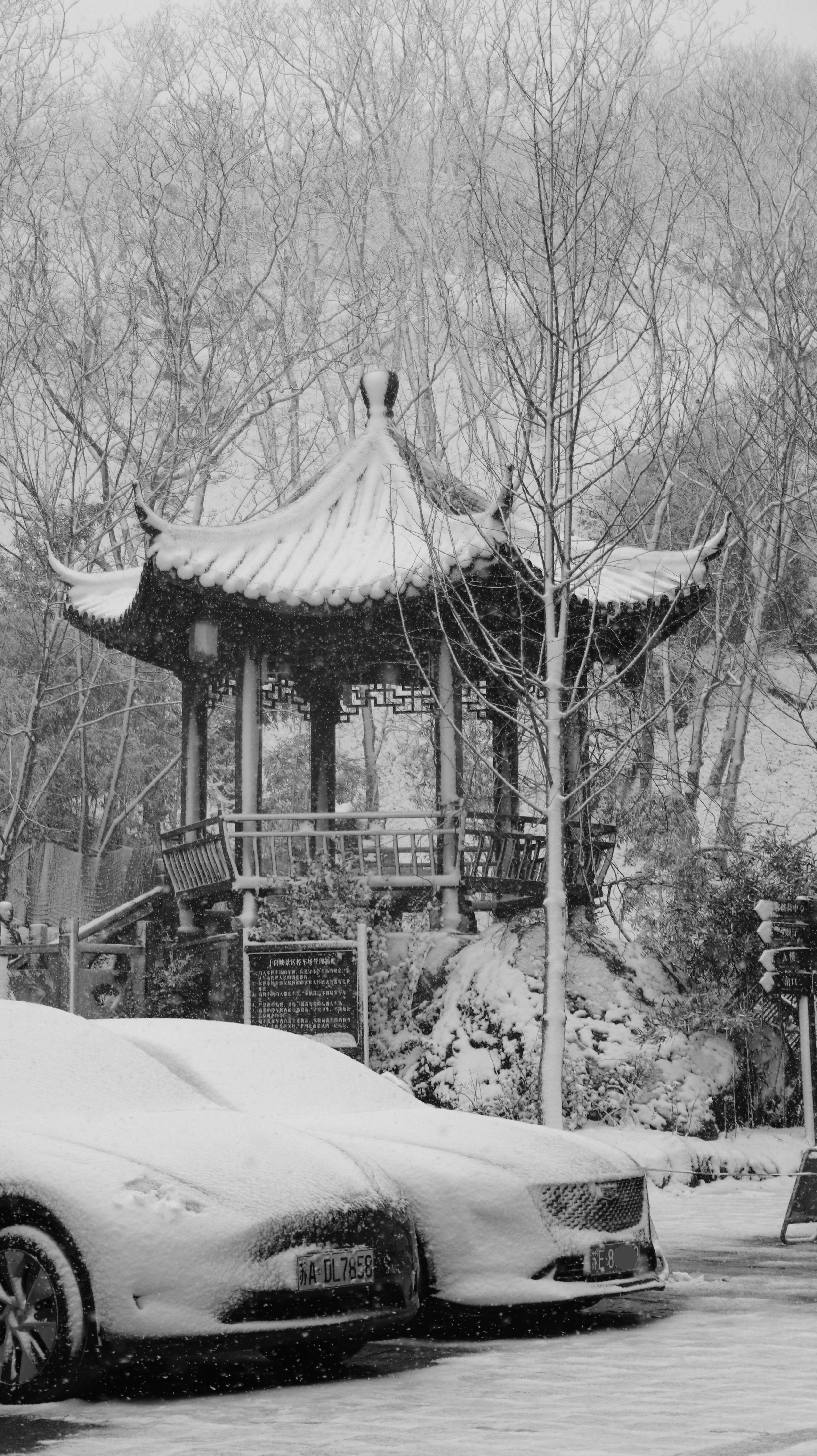 Winter Snow Cloaks the Pavilion: A Quiet Park Scene with Bare Trees