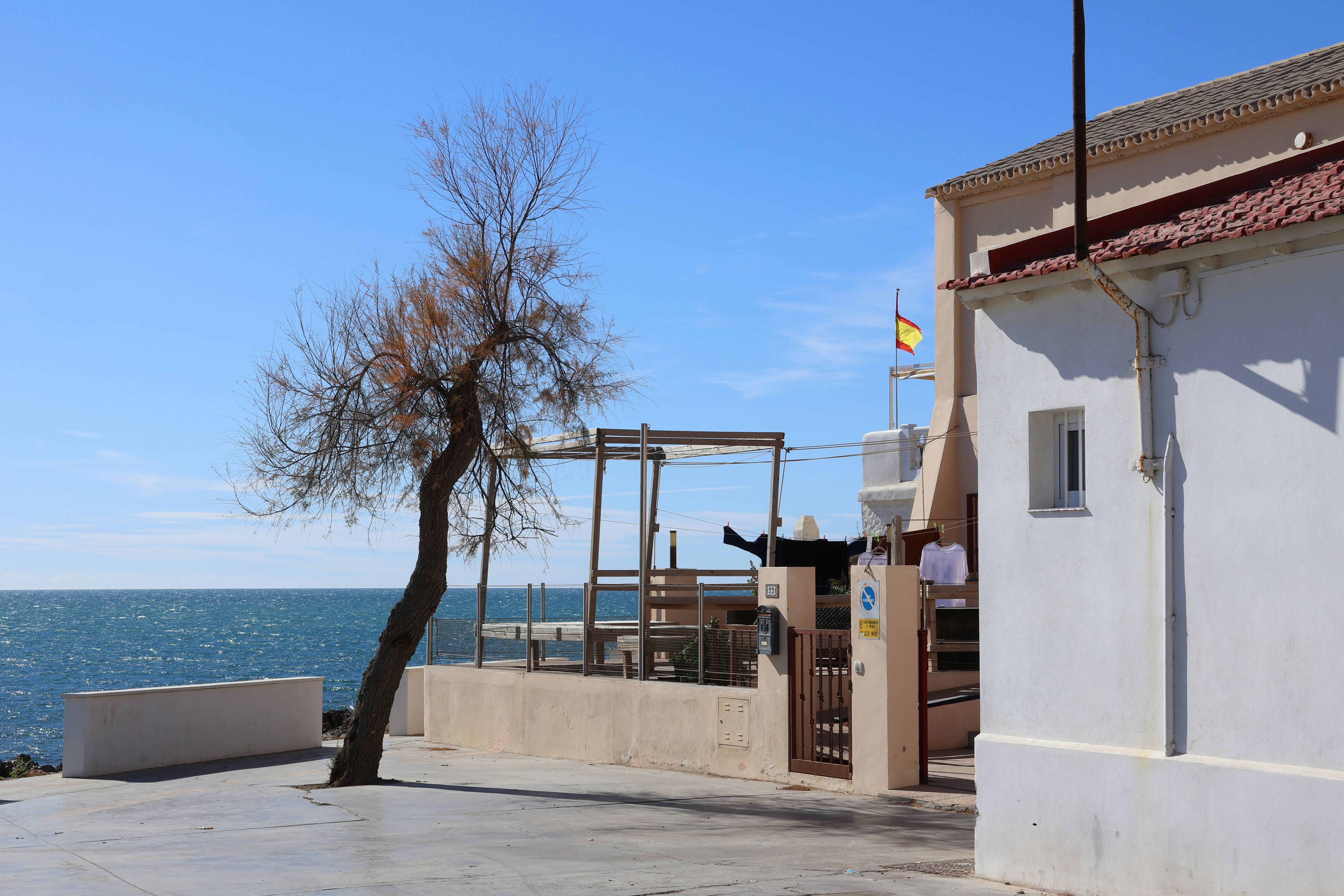 Lonely tree and coastal building under a clear blue sky near the ocean.