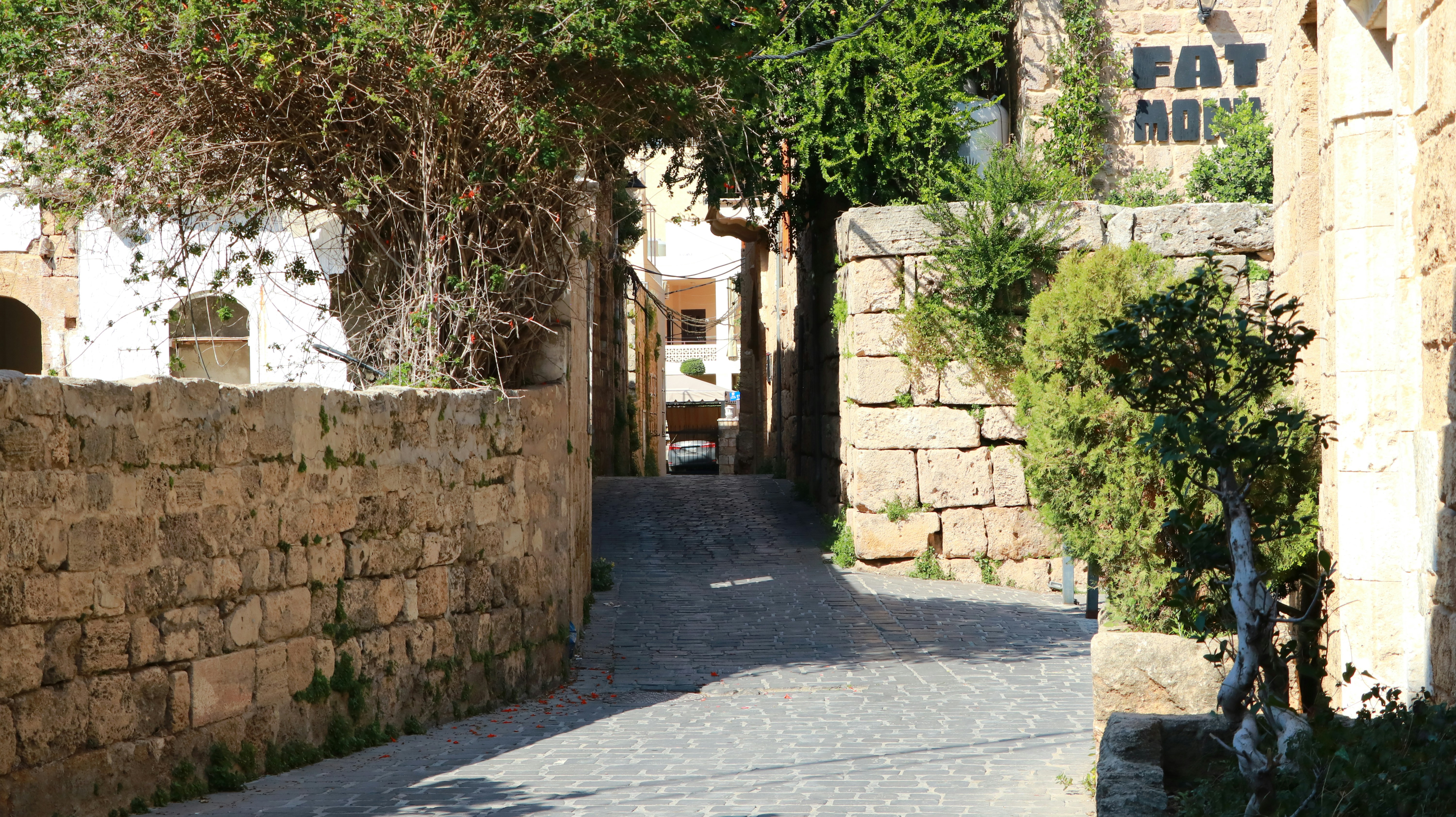 Narrow cobblestone alley flanked by stone walls and lush greenery, with sunlight casting shadows.