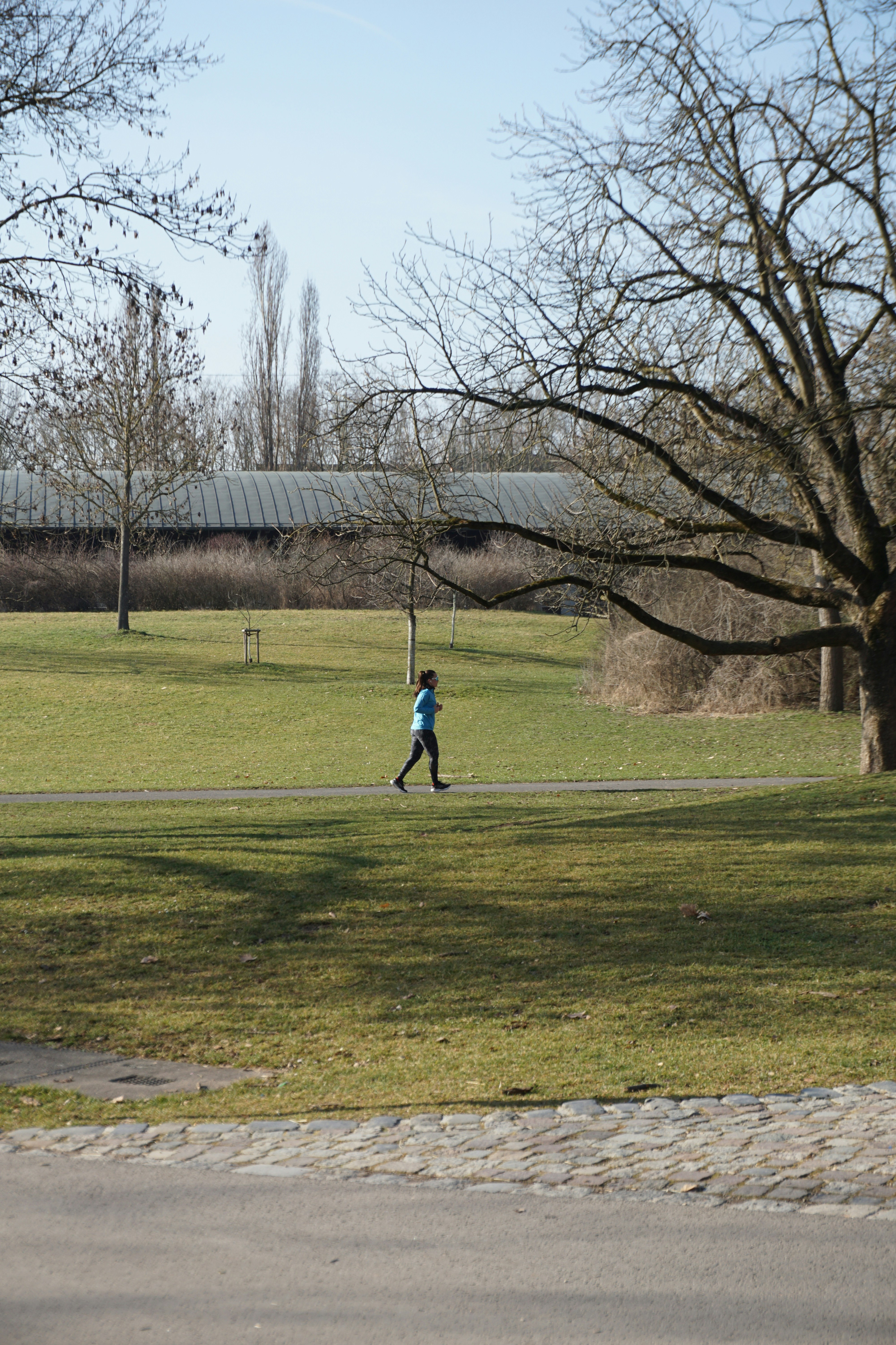 Photo by Cherif Salifou with Sony Alpha 6000