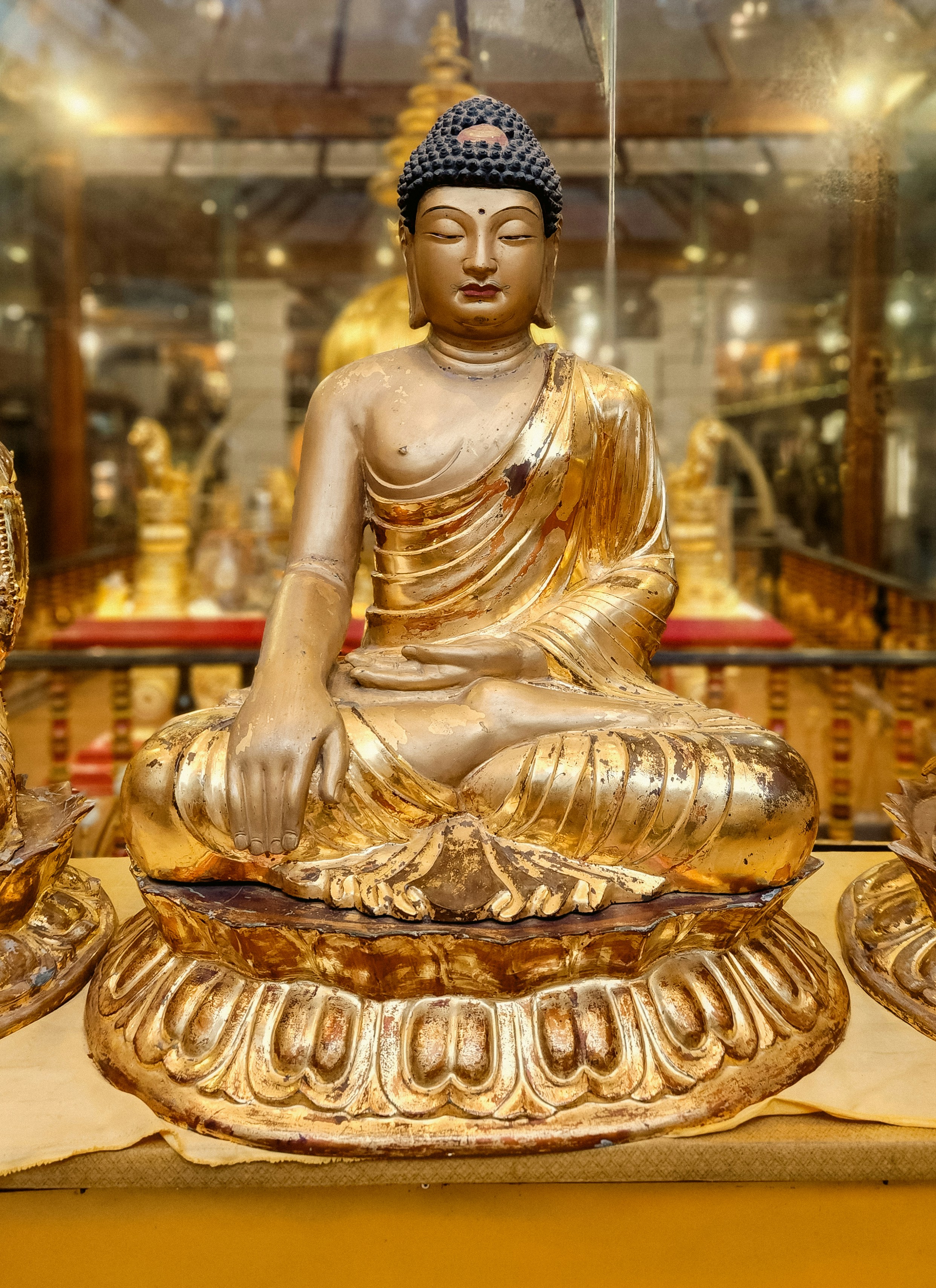 Gilded Reverence: Buddha in a Glass-Display Sanctuary
