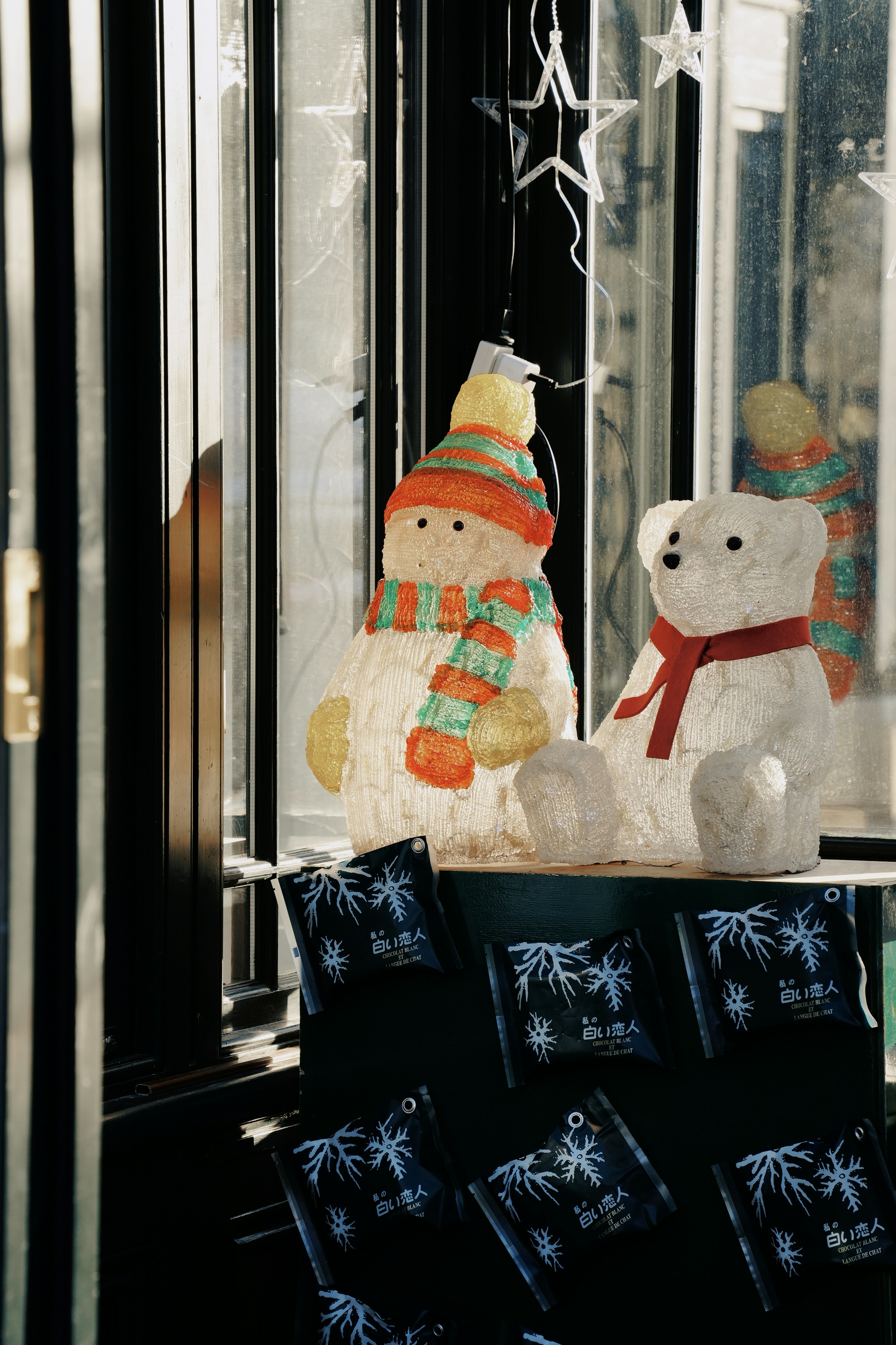 Whimsical Winter Companions