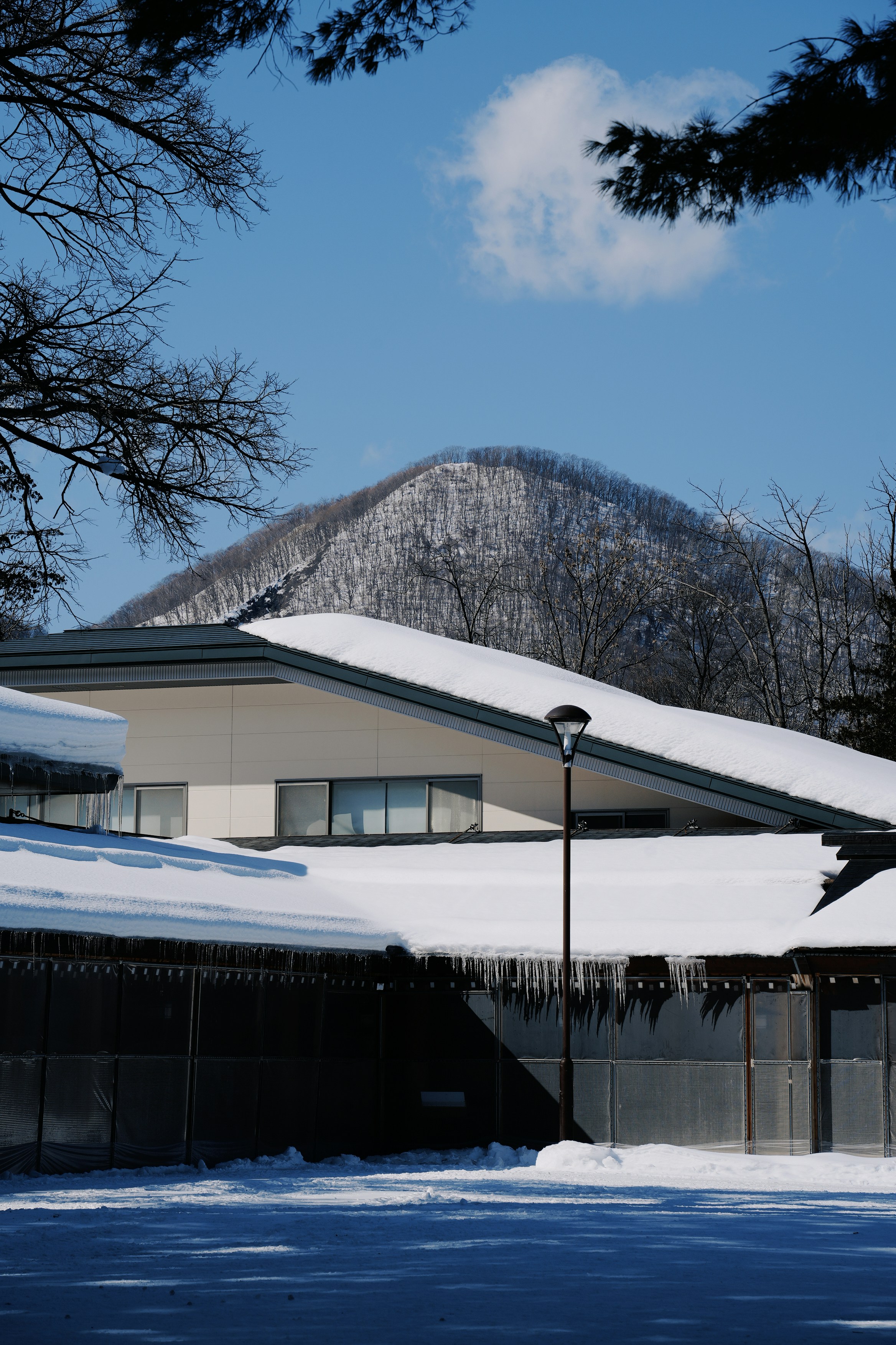 Streetlamp Among Snow-Covered Roofs Under a Pristine Mountain Sky