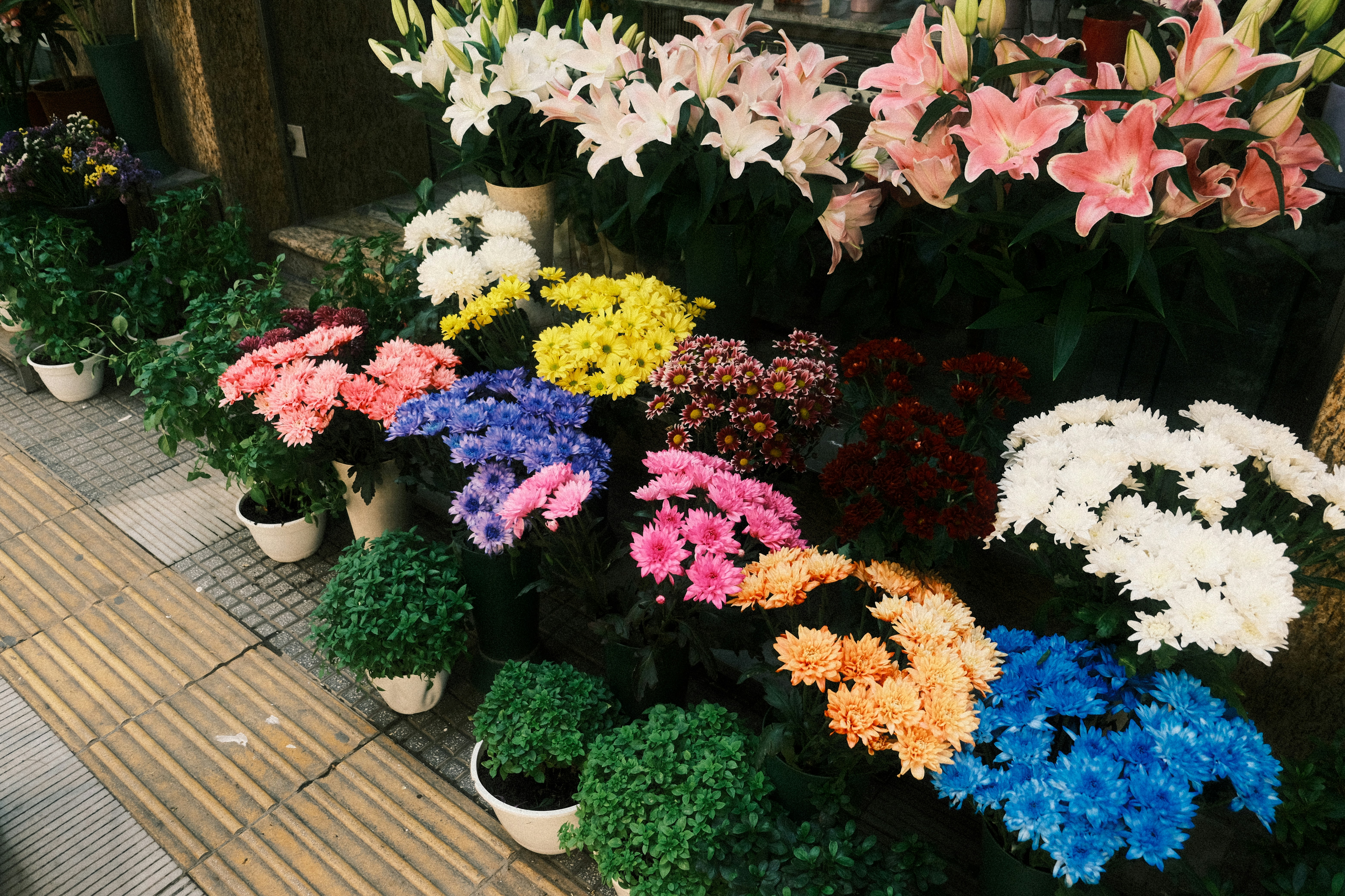 Photo by Luca Merz with Fujifilm X-T30 II