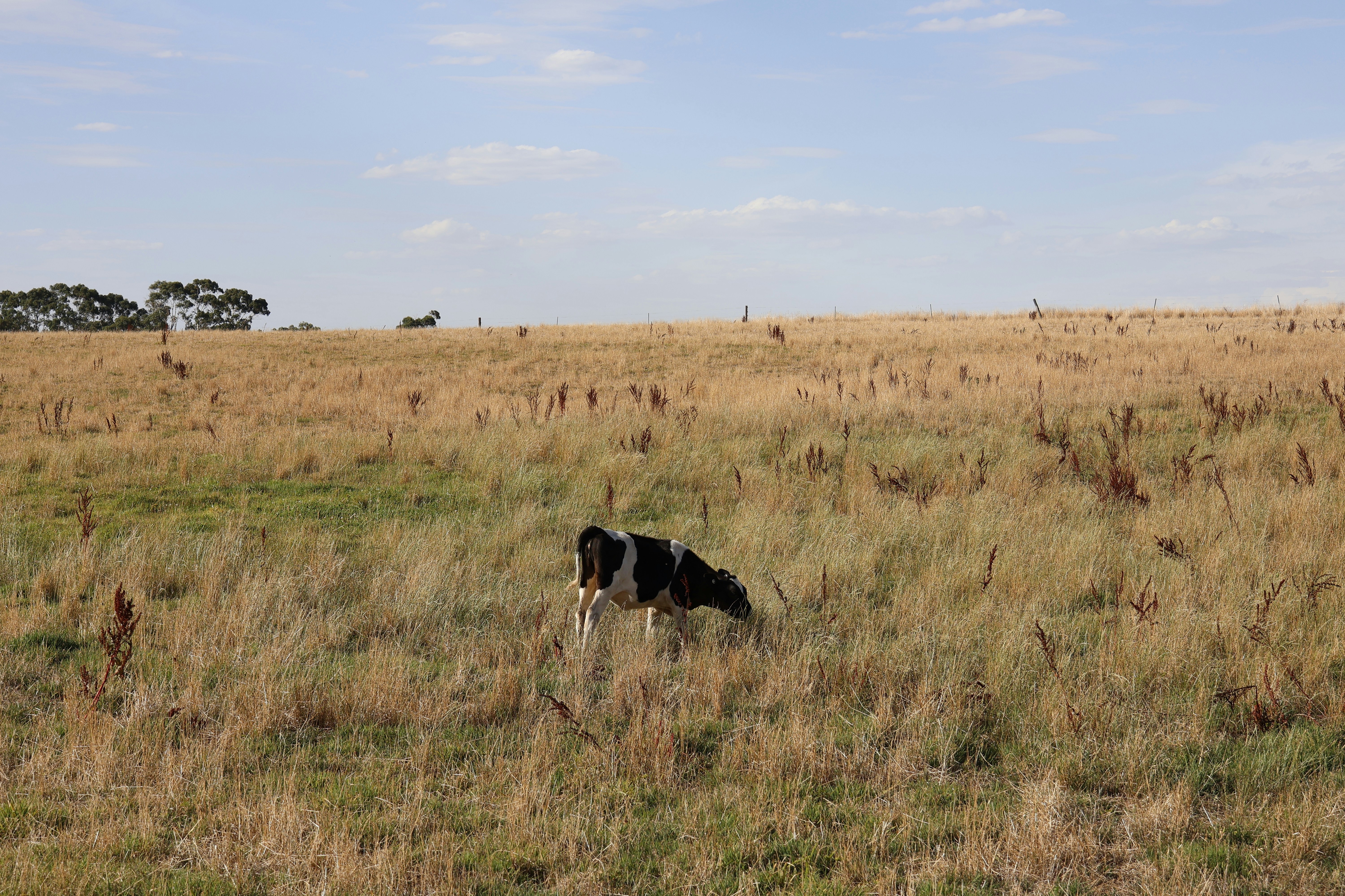 Photo by You Le with Canon EOS R10