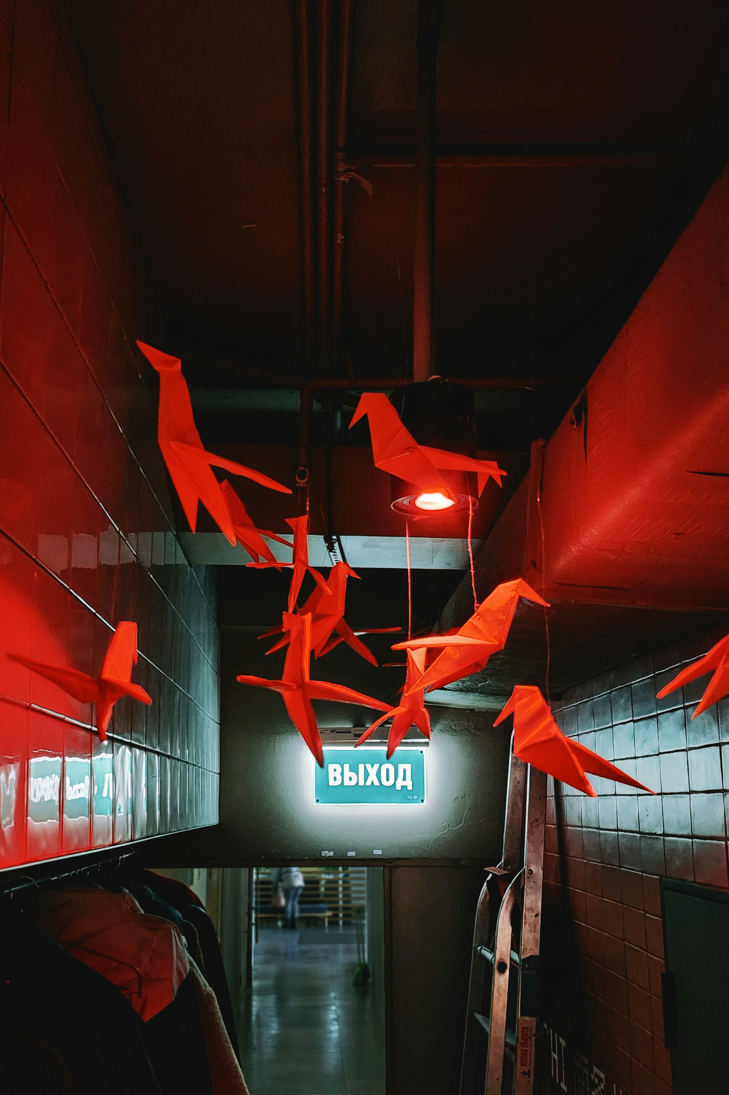 Photo by Evgeniya Pron with Samsung Galaxy Z Flip4