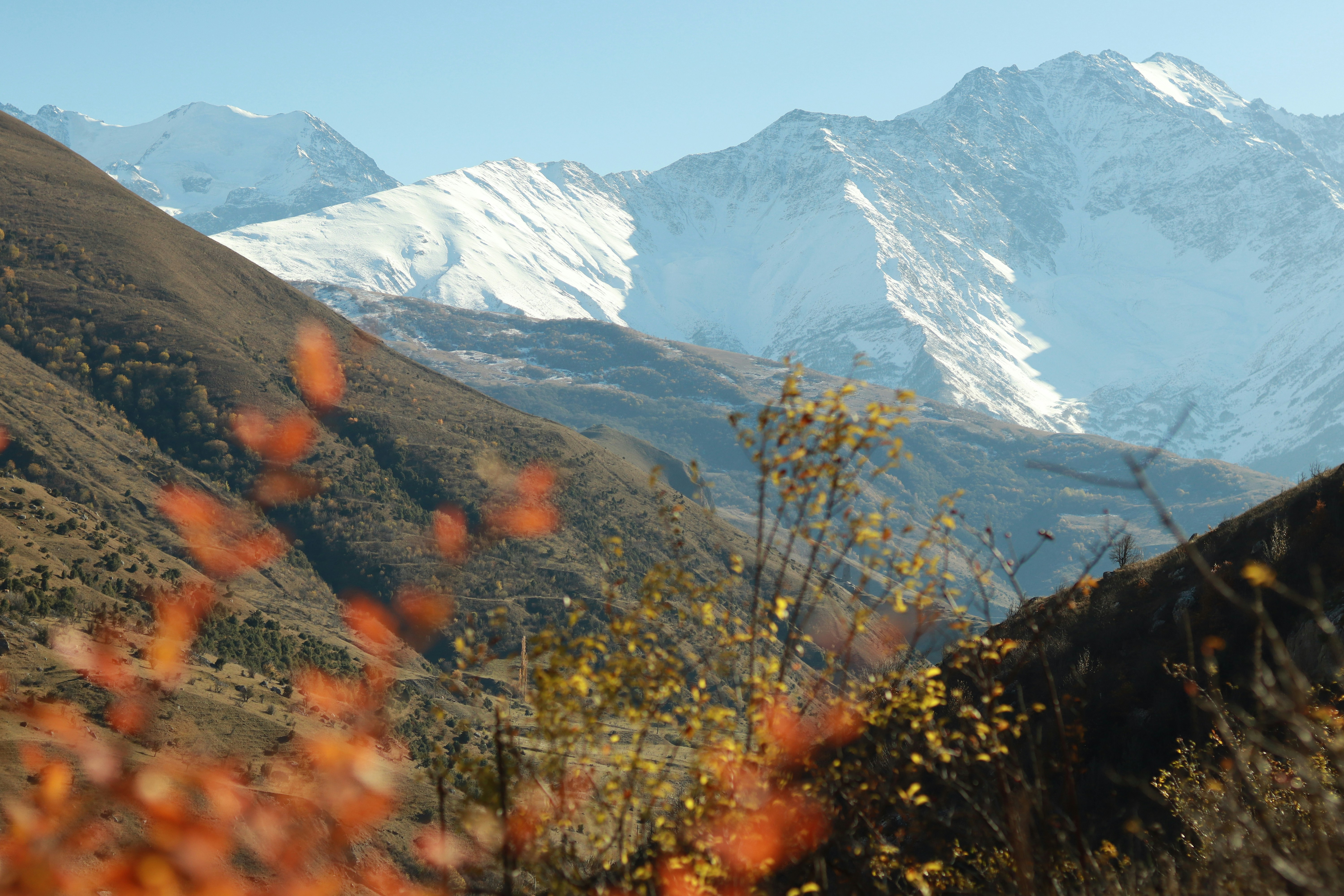 Snow-capped mountains rise behind autumn foliage under a clear blue sky.